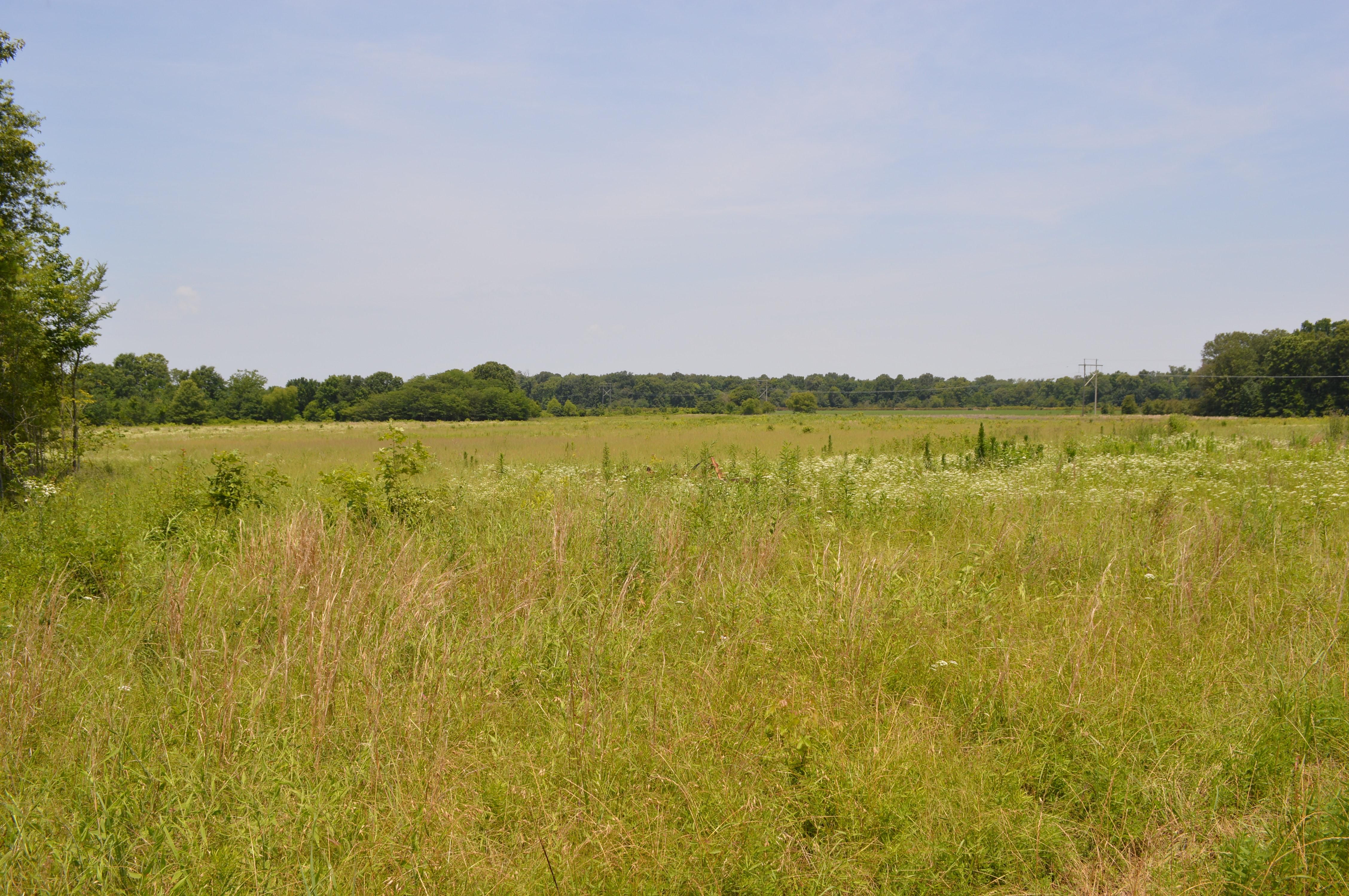 39.51 acres in Fisher, AR, 72429 | MLS: 25023074 | Land.com