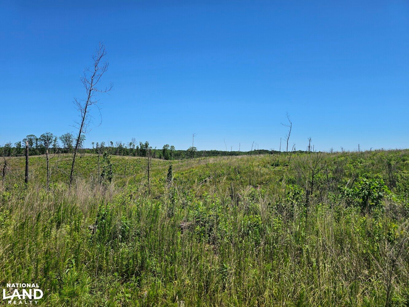 000 Pea Ridge Rd, Waterloo, AL 35677 | Land.com