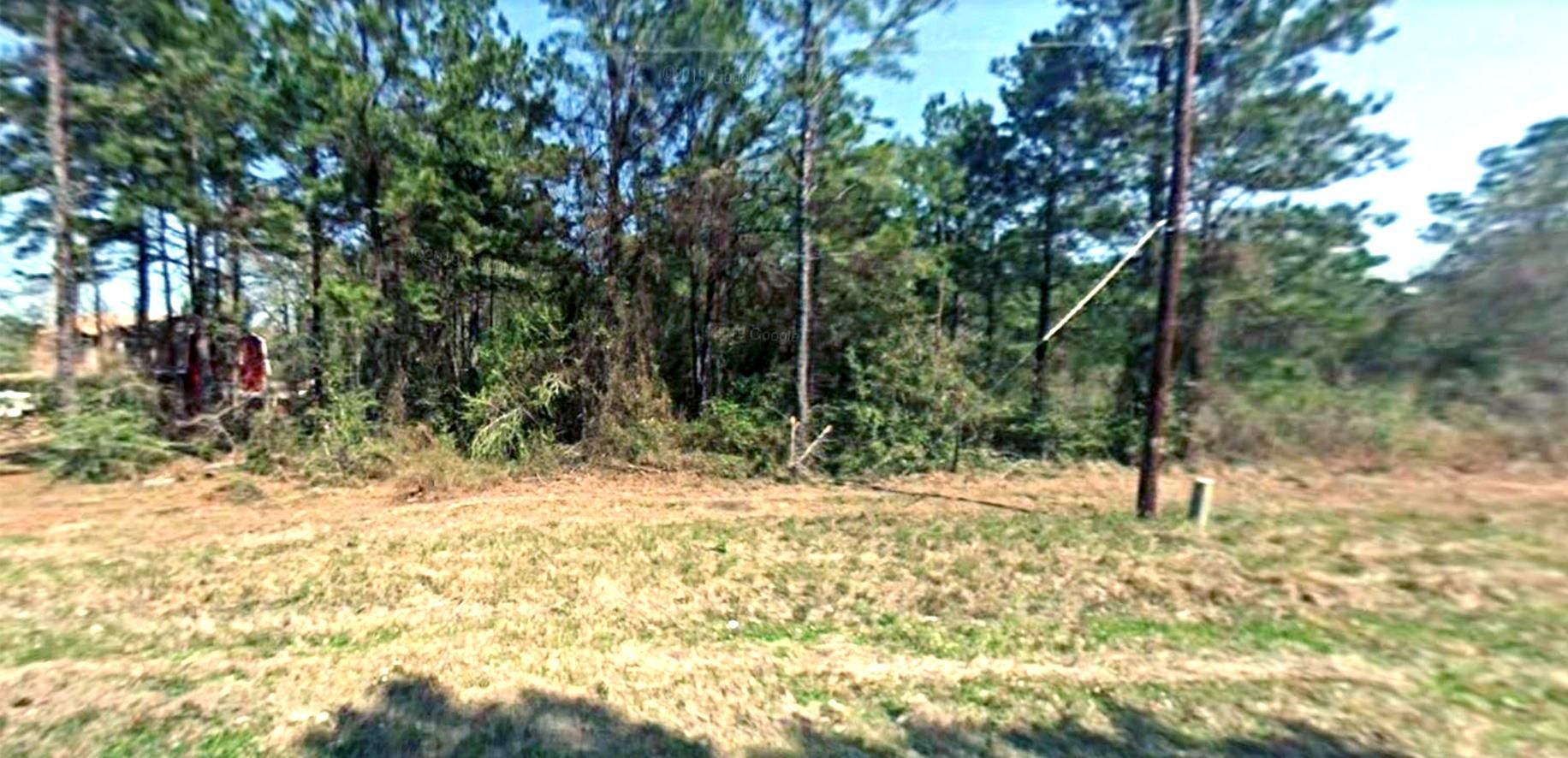 Brookhaven Path, Livingston, TX 77351 | MLS: 74872 | Land.com