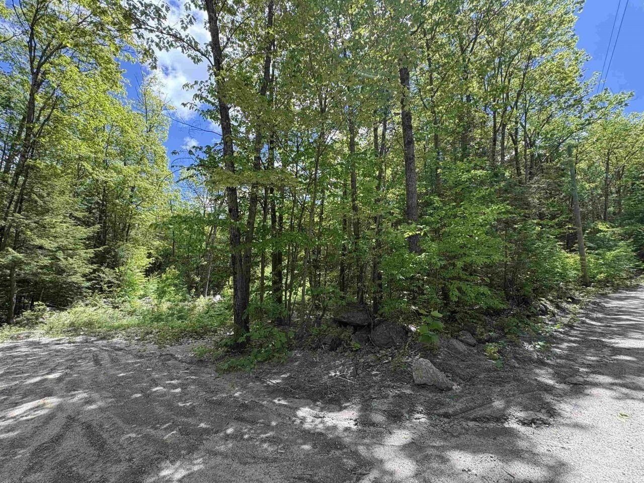 Craig Road, Antrim, NH 03440 | MLS: 5046605 | Land.com