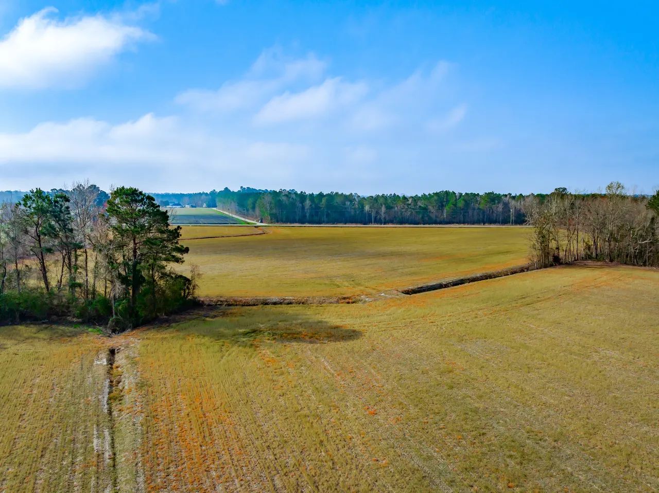 4705 Carolina Road, Green Sea, SC 29545 | Land.com