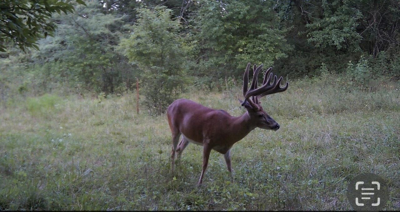 00000 Lyon, Edna, KS 67342 | MLS: 252558 | Land.com