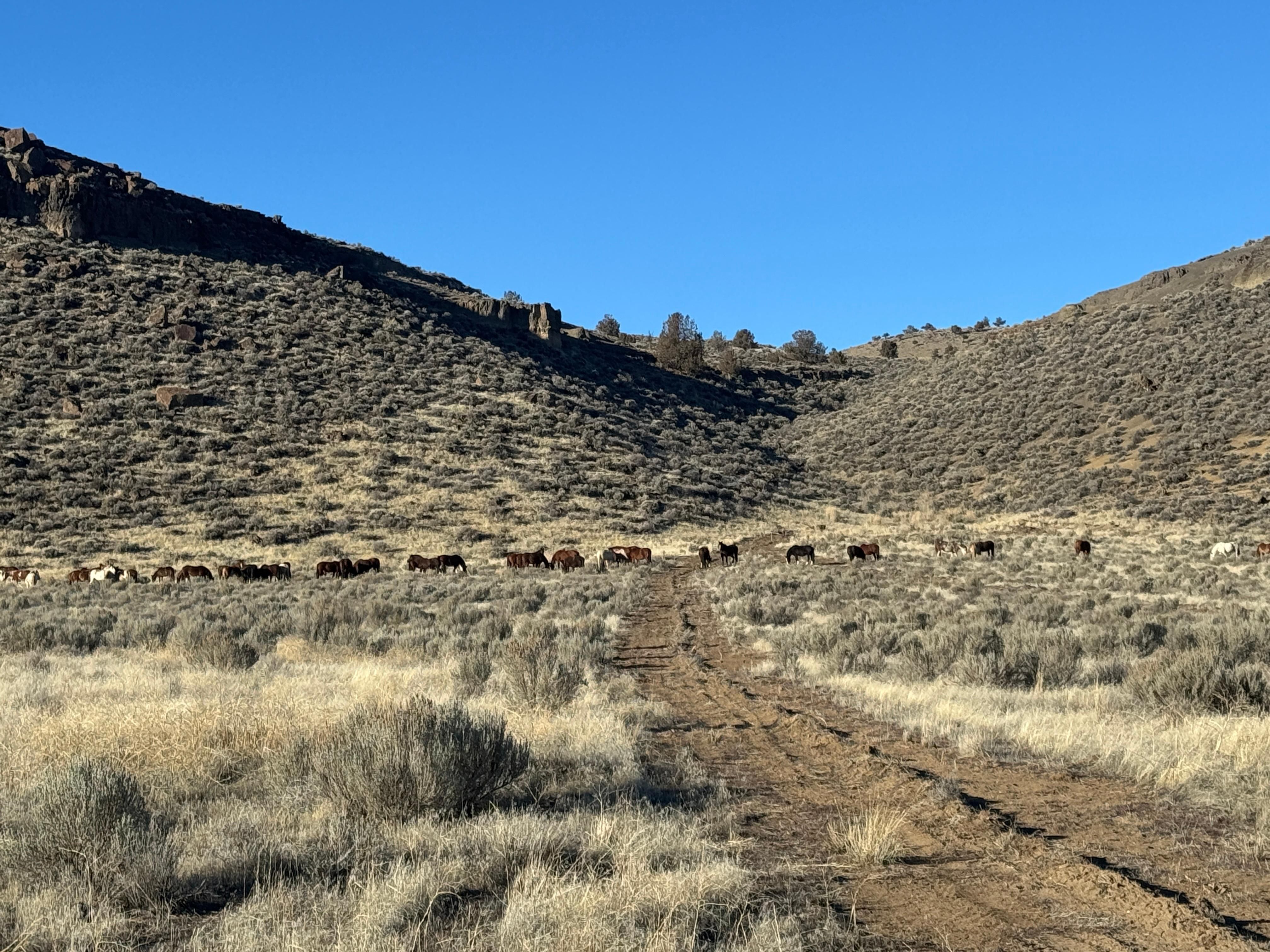 Weaver Springs Road, Burns, OR 97720 | MLS: 36102-00513 | Land.com