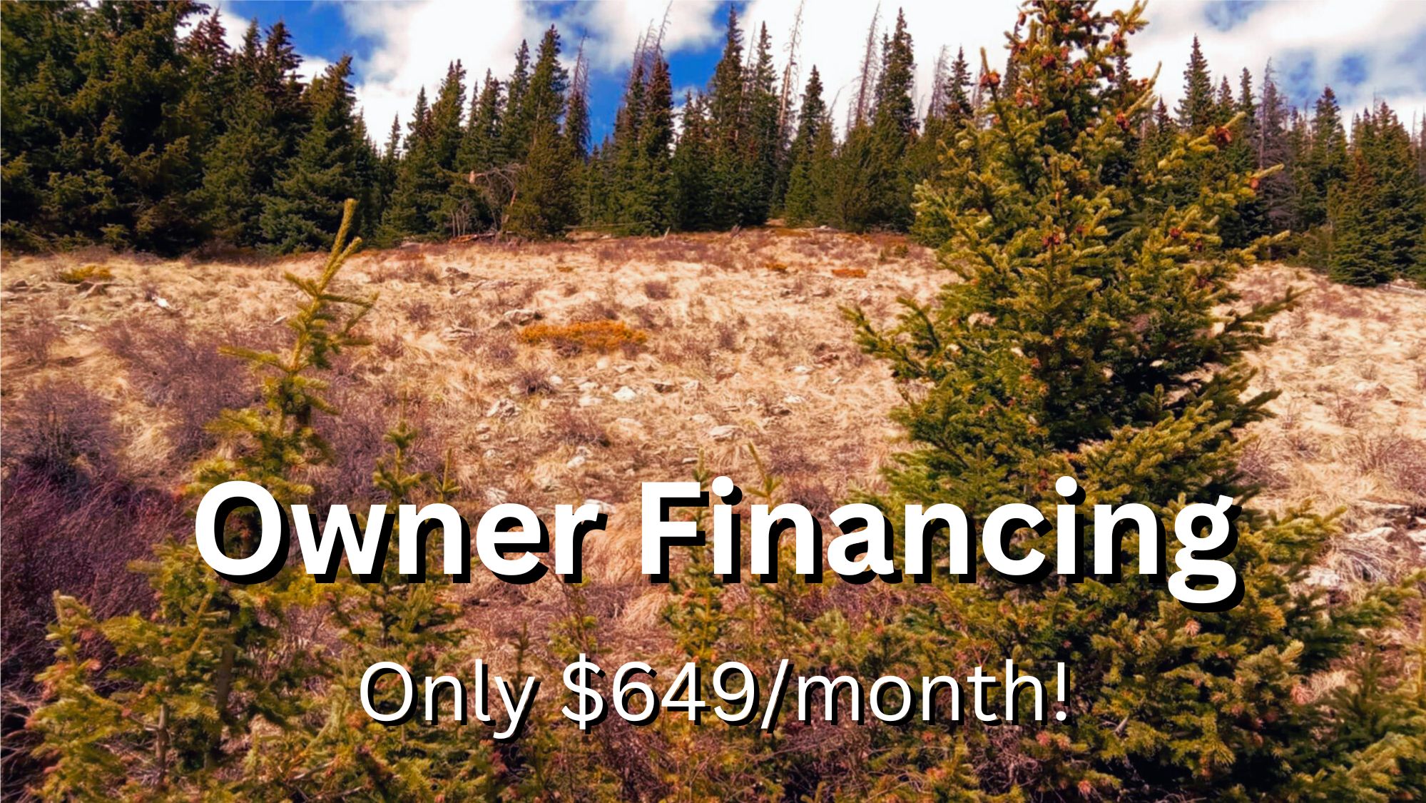 Forbes Rd, Fort Garland, CO 81133 | Land.com