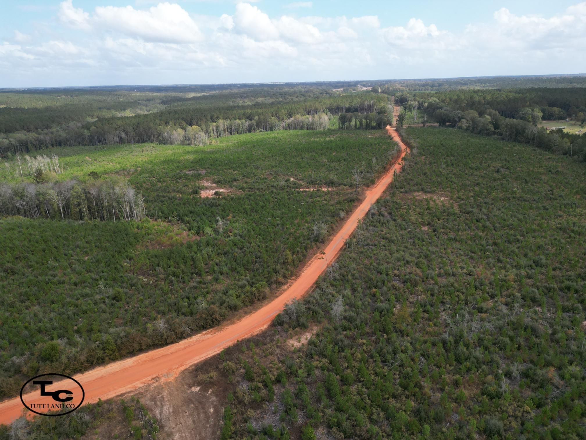 County Road 513, Elba, AL 36323 | Land.com