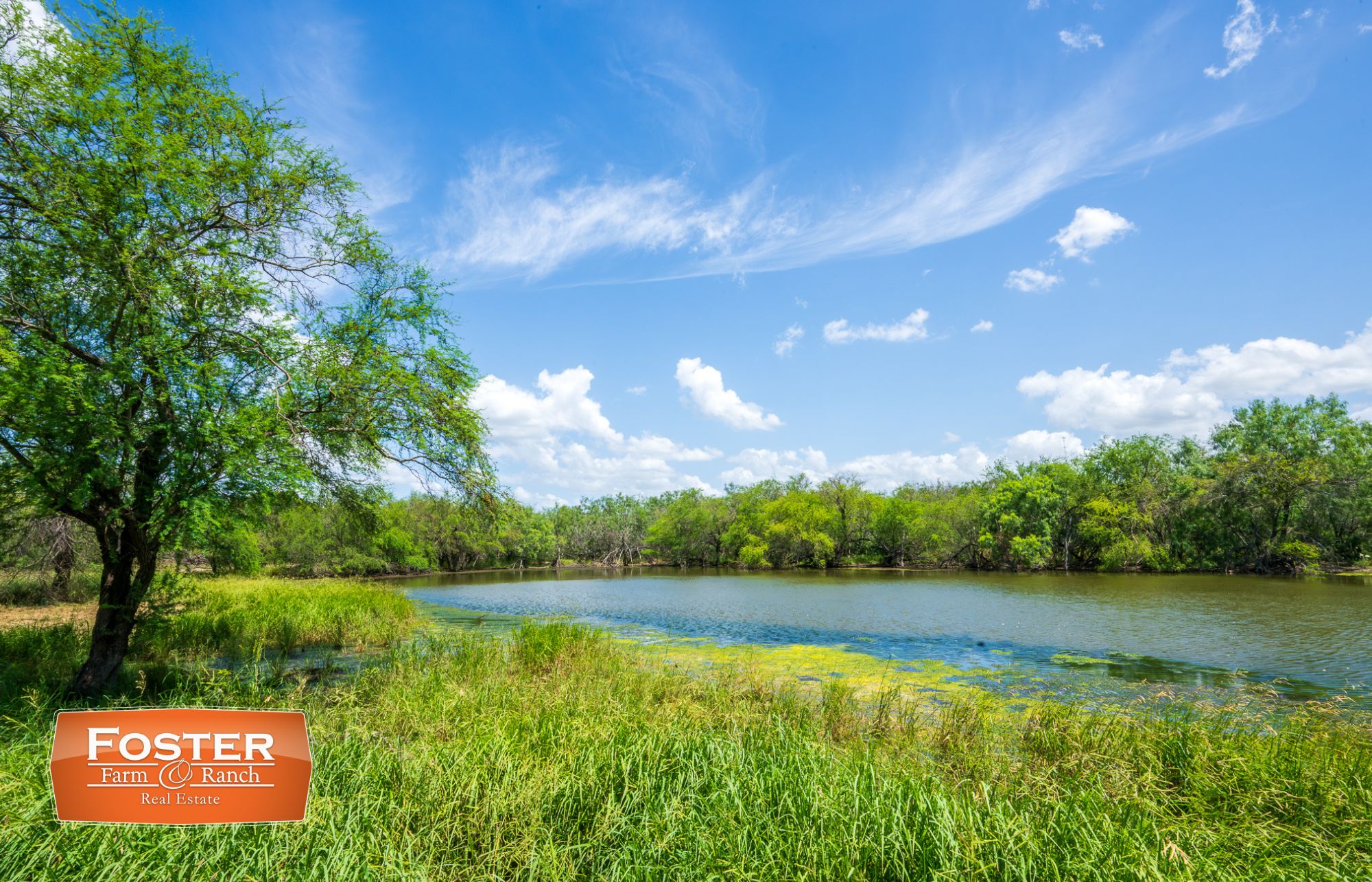 1,500 acres in McCook, TX, 78541 | Land.com