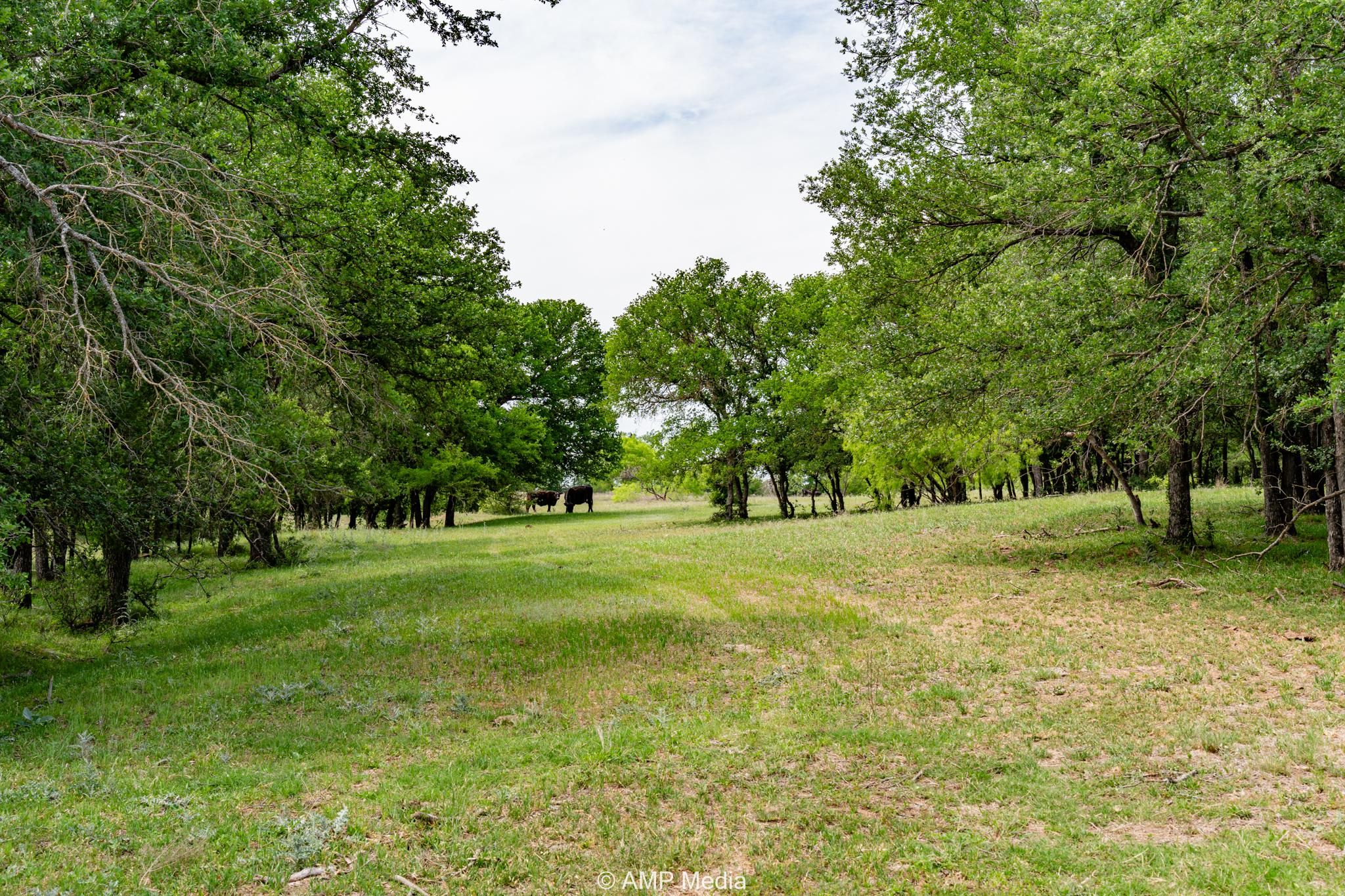 42 acres in Gustine, TX, 76455 | Land.com