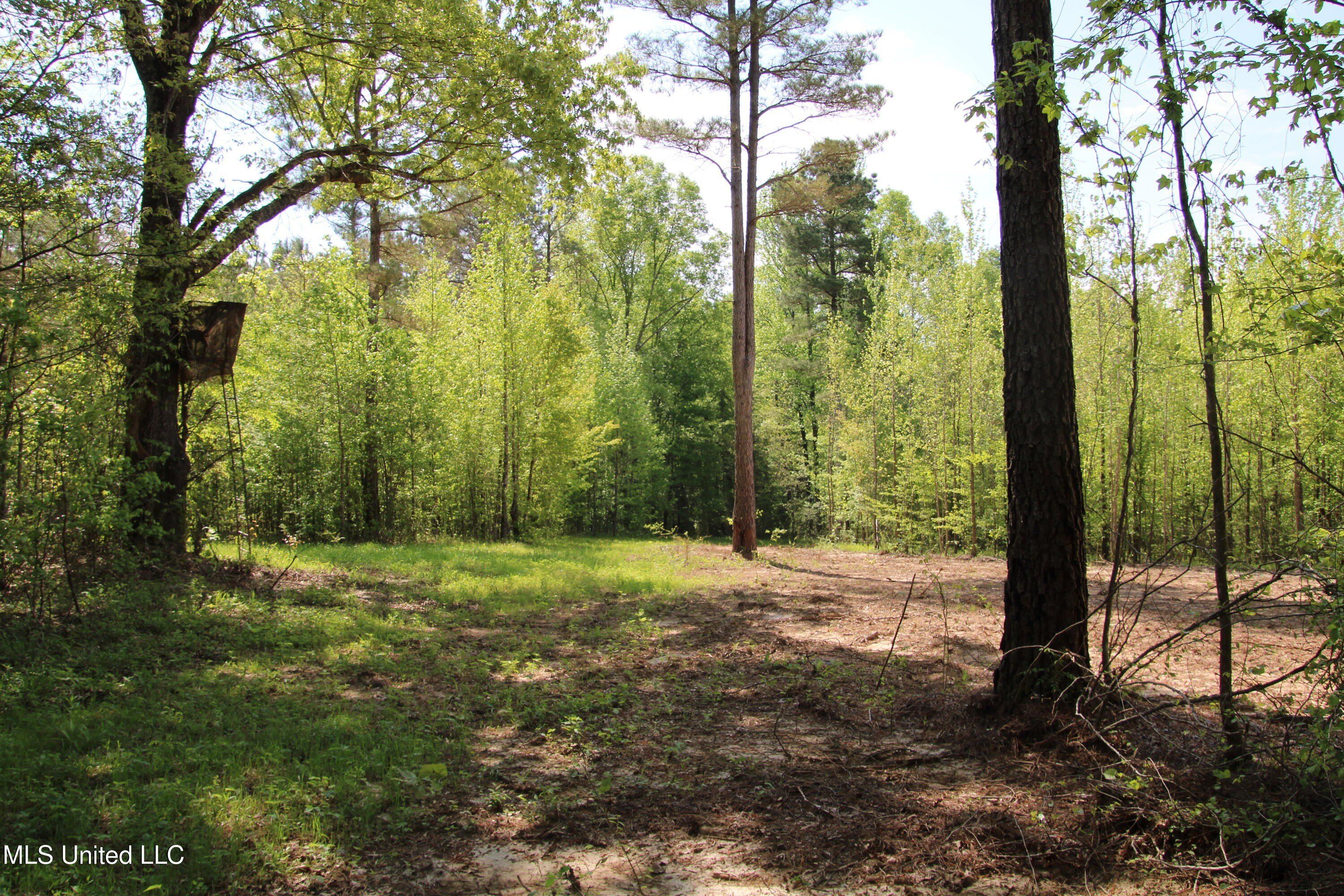 Newport Road, Lexington, MS 39095 | MLS: 4110471 | Land.com