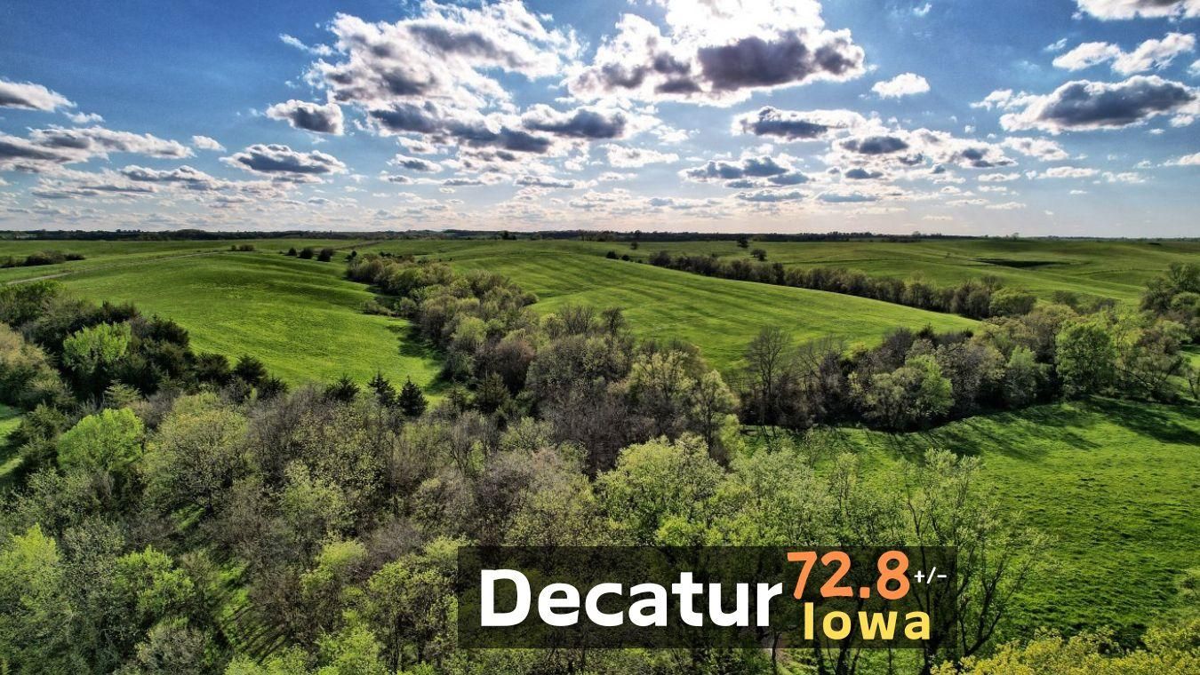 72.8 acres in Grand River, IA, 50108 | MLS: 6322655 | Land.com