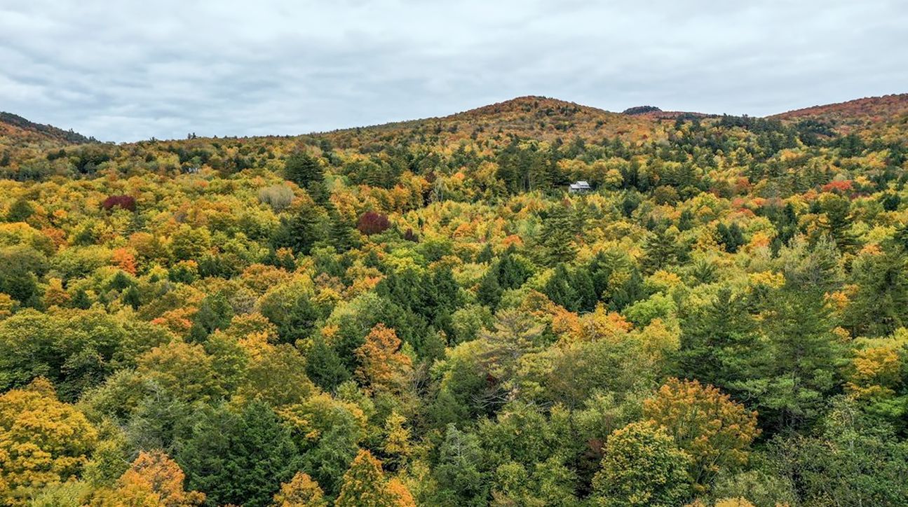 387 County Road 6, Clemons, NY 12819 | Land.com