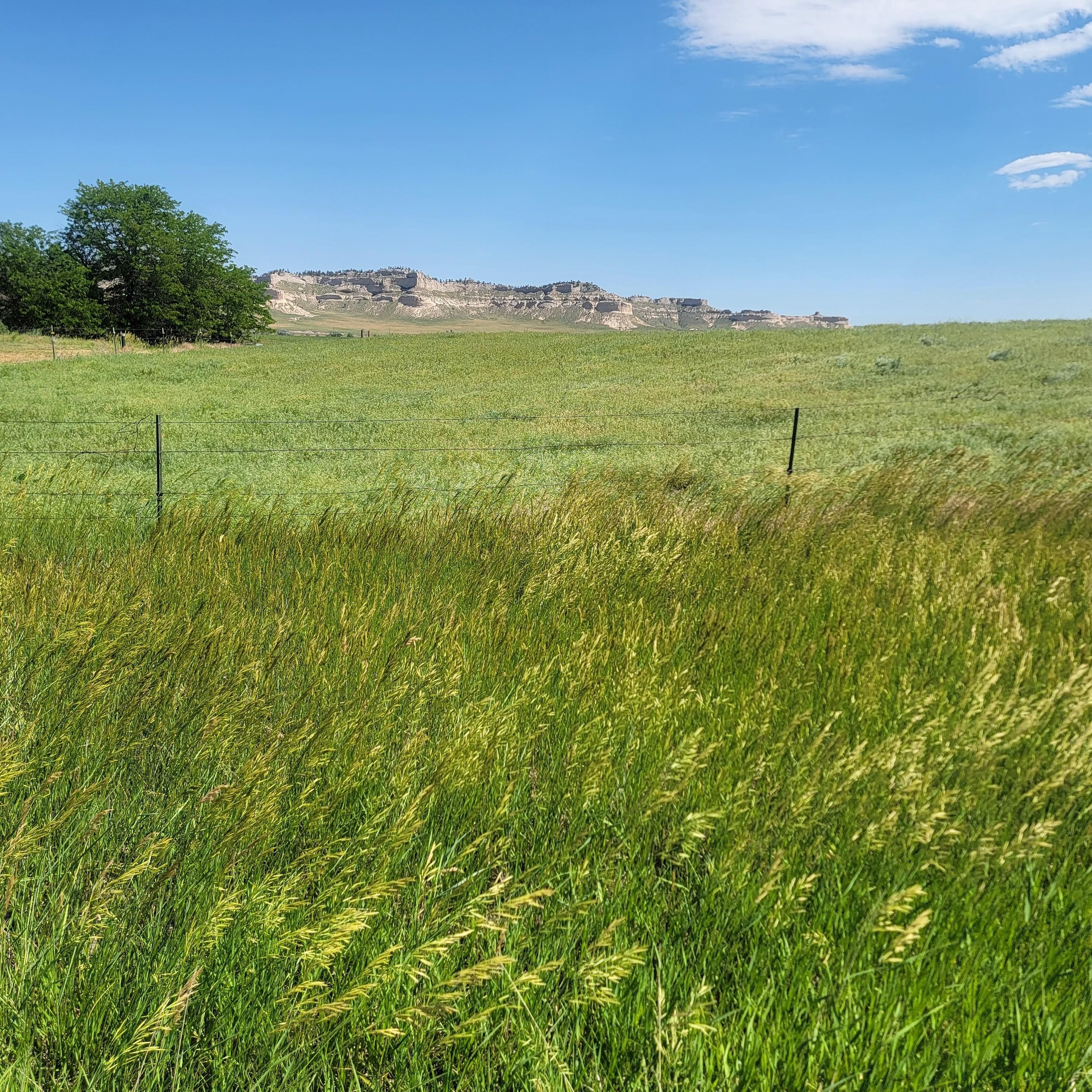 3790 County Road 34, Harrisburg, NE 69345 | Land.com