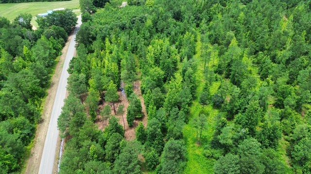 1802 Mulberry Road, Sulligent, AL 35586 | Land.com