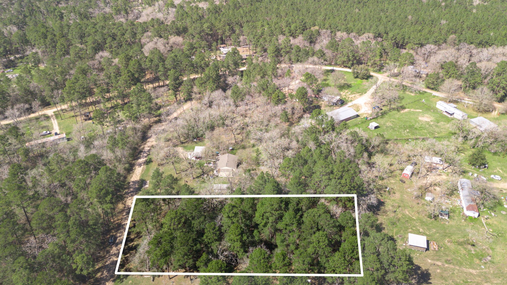 N/A Blue Lake Drive, Plantersville, TX 77363 | MLS: DBirdsell | Land.com
