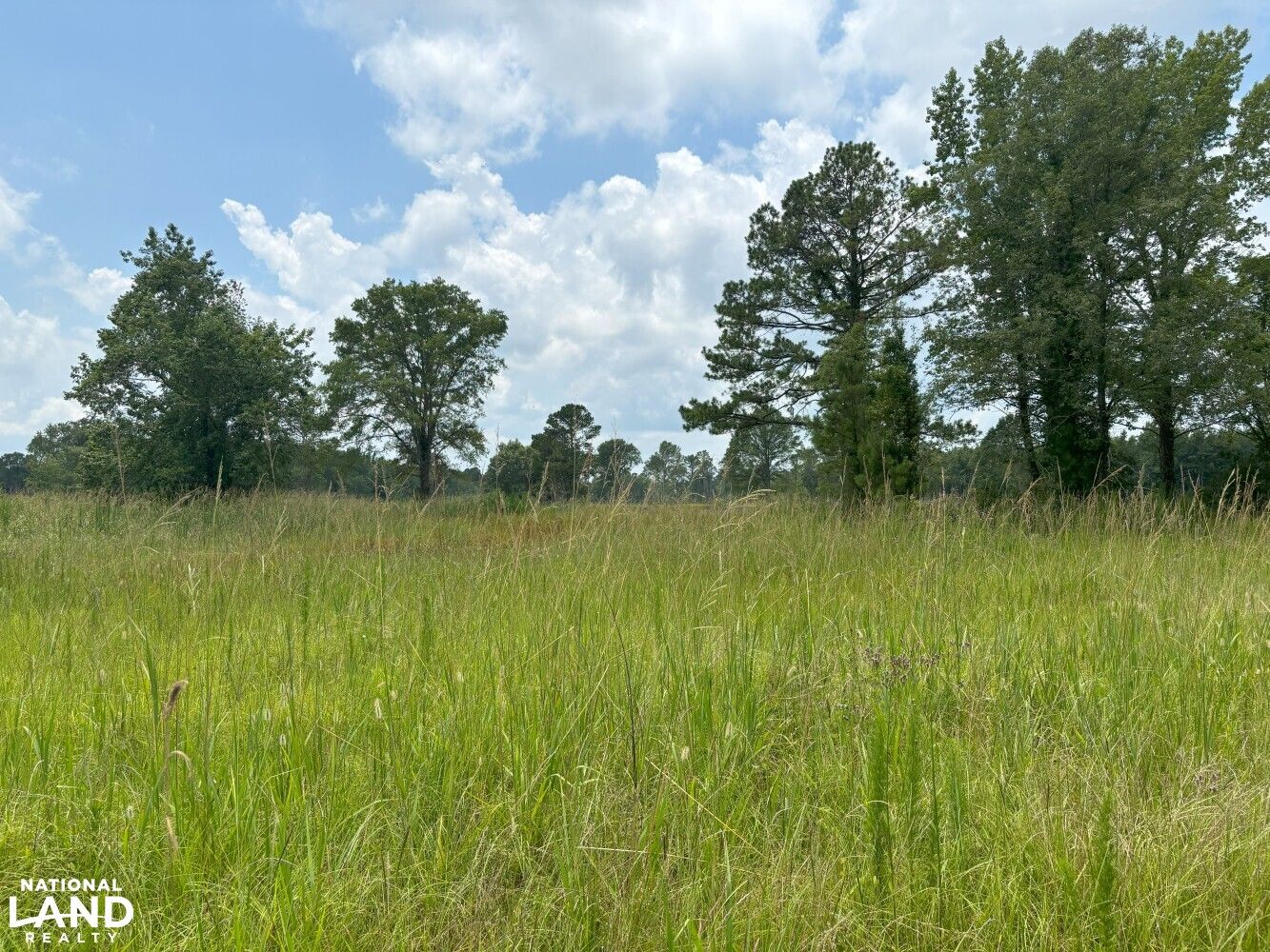 216 Causey RD, Nichols, SC 29581 | Land.com