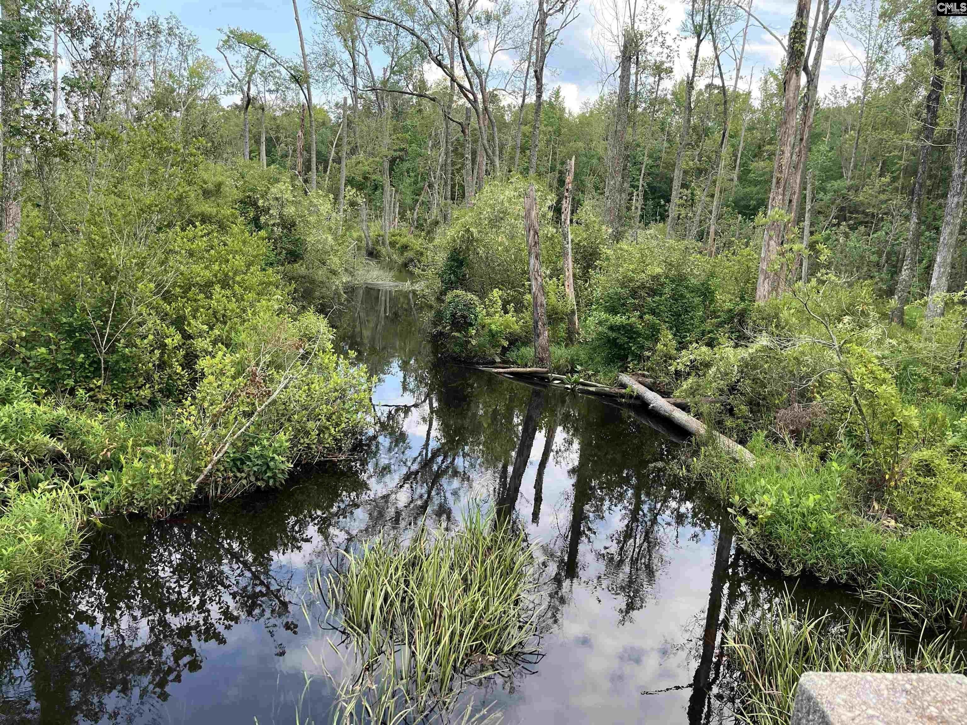 TBD Catalina Boulevard, North, SC 29112 | MLS: 611863 | Land.com