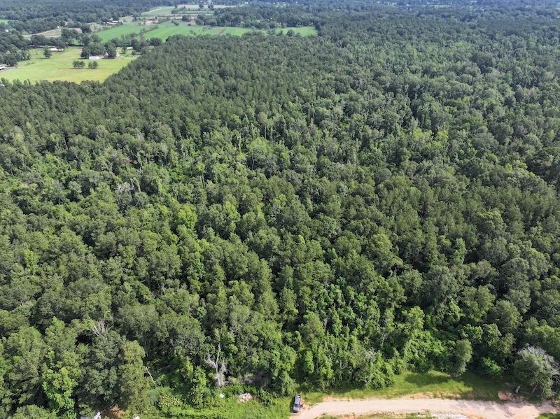 Hwy 40 E, Lot#WP001, Loranger, LA Passm | Land.com