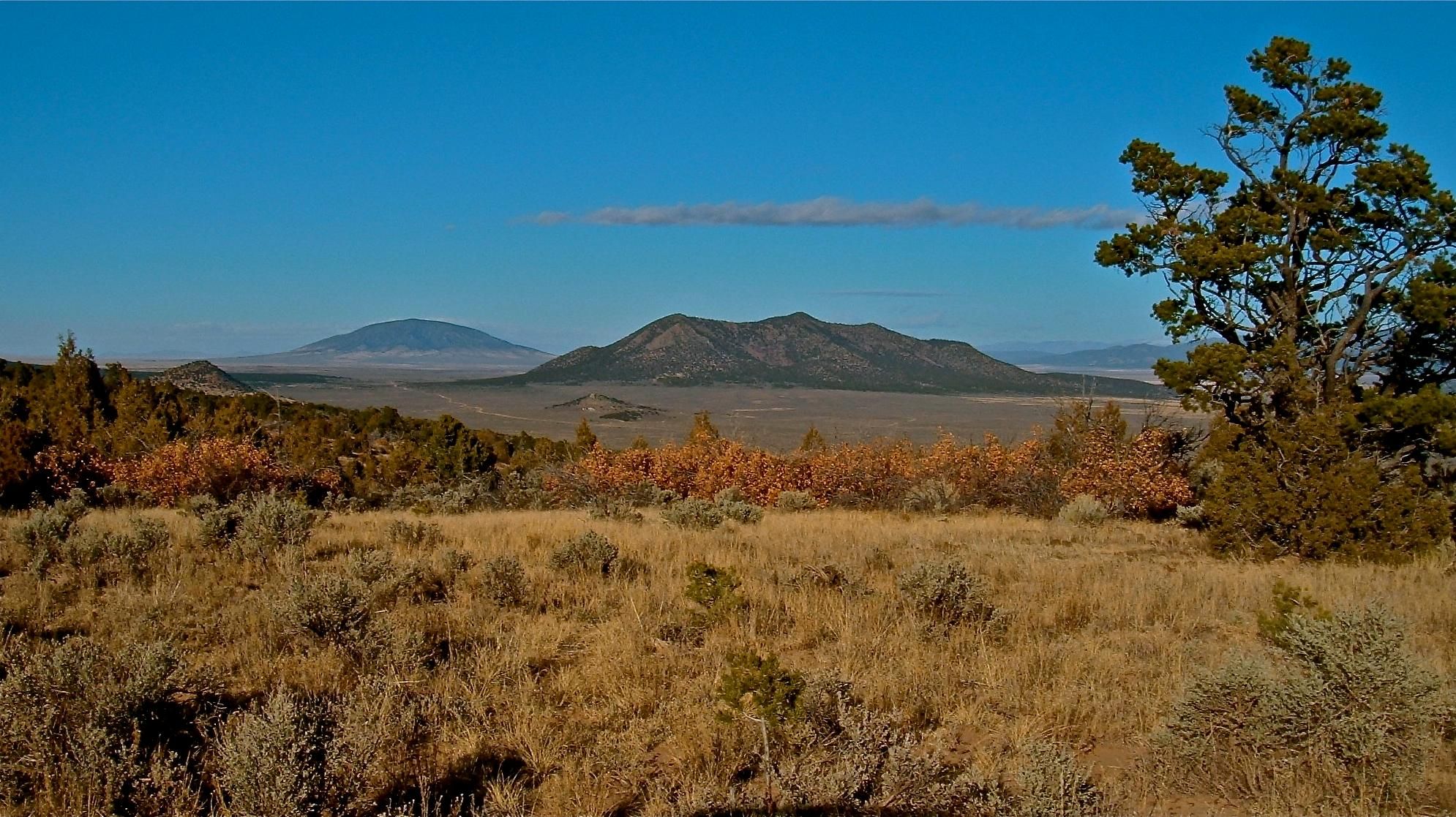 Cerro Road, Cerro, NM 87519 | Land.com