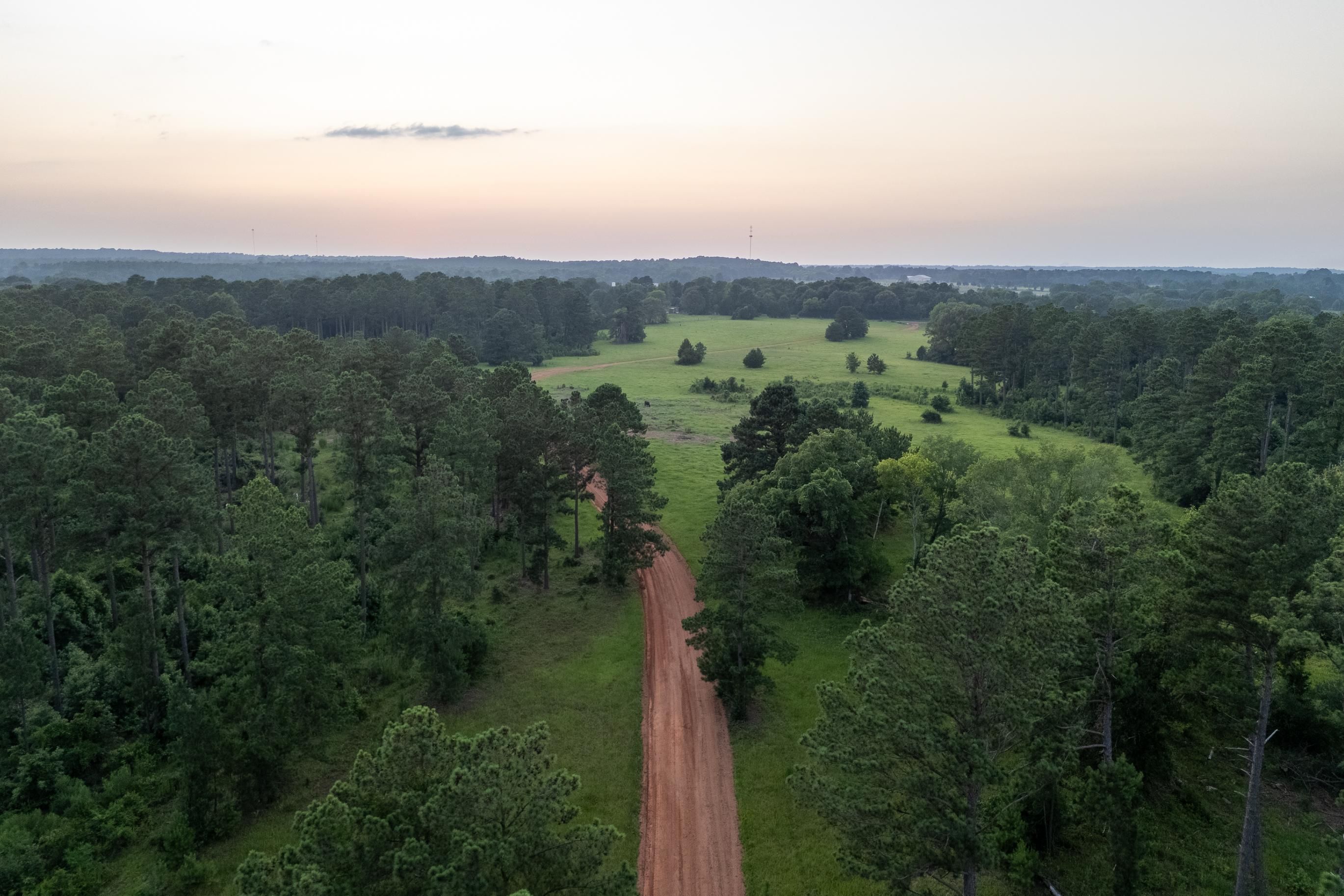 S/S CR 173, Overton, TX 75684 | MLS: East Cut Ranch | Land.com