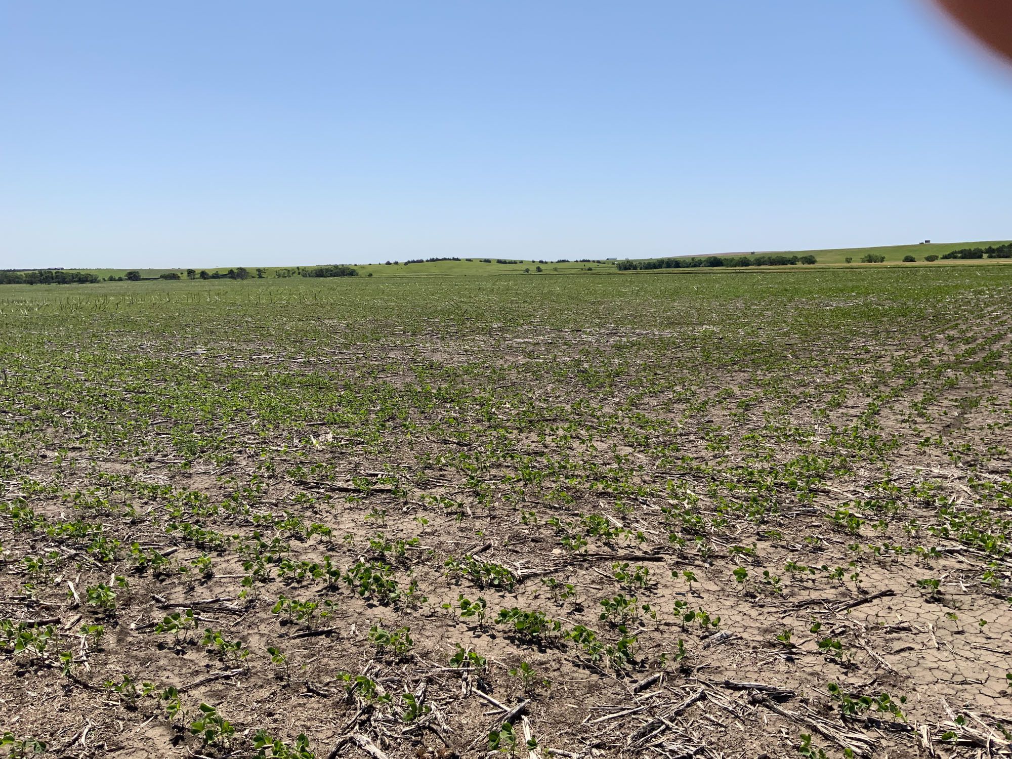 2,083.1 acres in Presho, SD, 57576 | Land.com