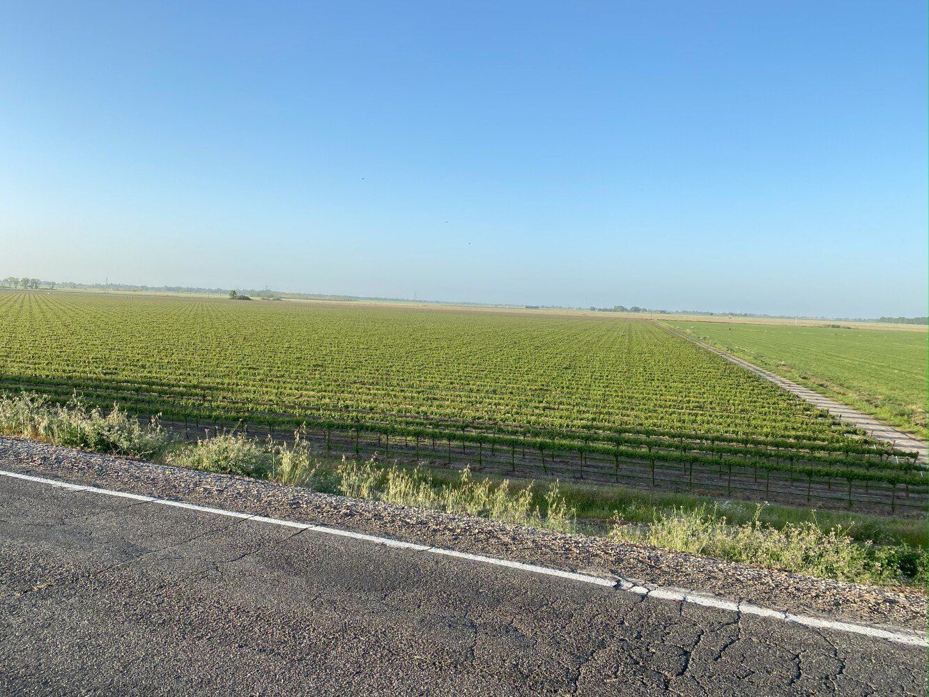 52415-52979 S. River Road, Clarksburg, CA 95612 | MLS: 11527779 | Land.com