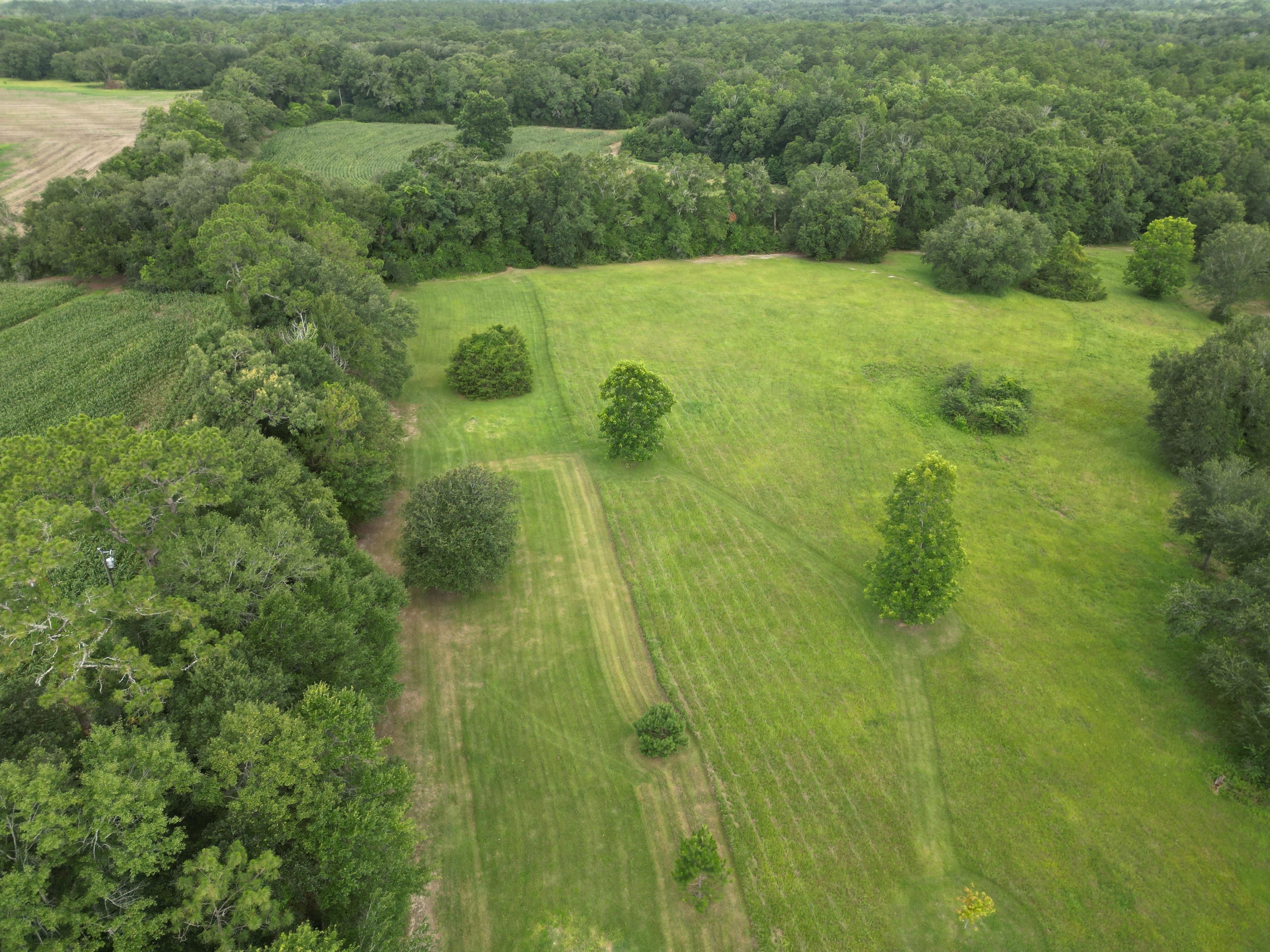 2038 Caney Branch Rd, Bonifay, FL 32425 | MLS: 775833 | Land.com