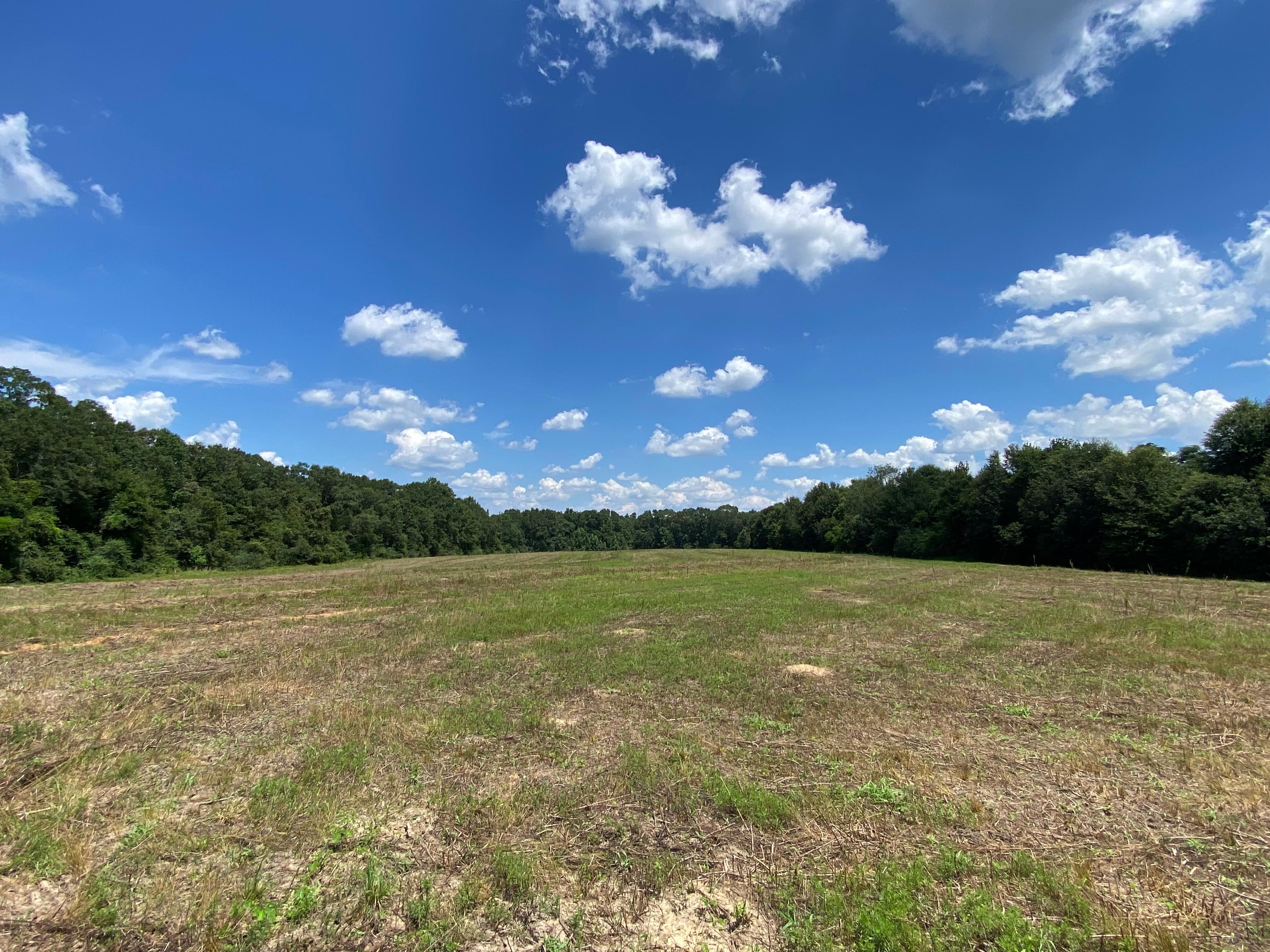 91 acres in Samson, AL, 36477 | Land.com
