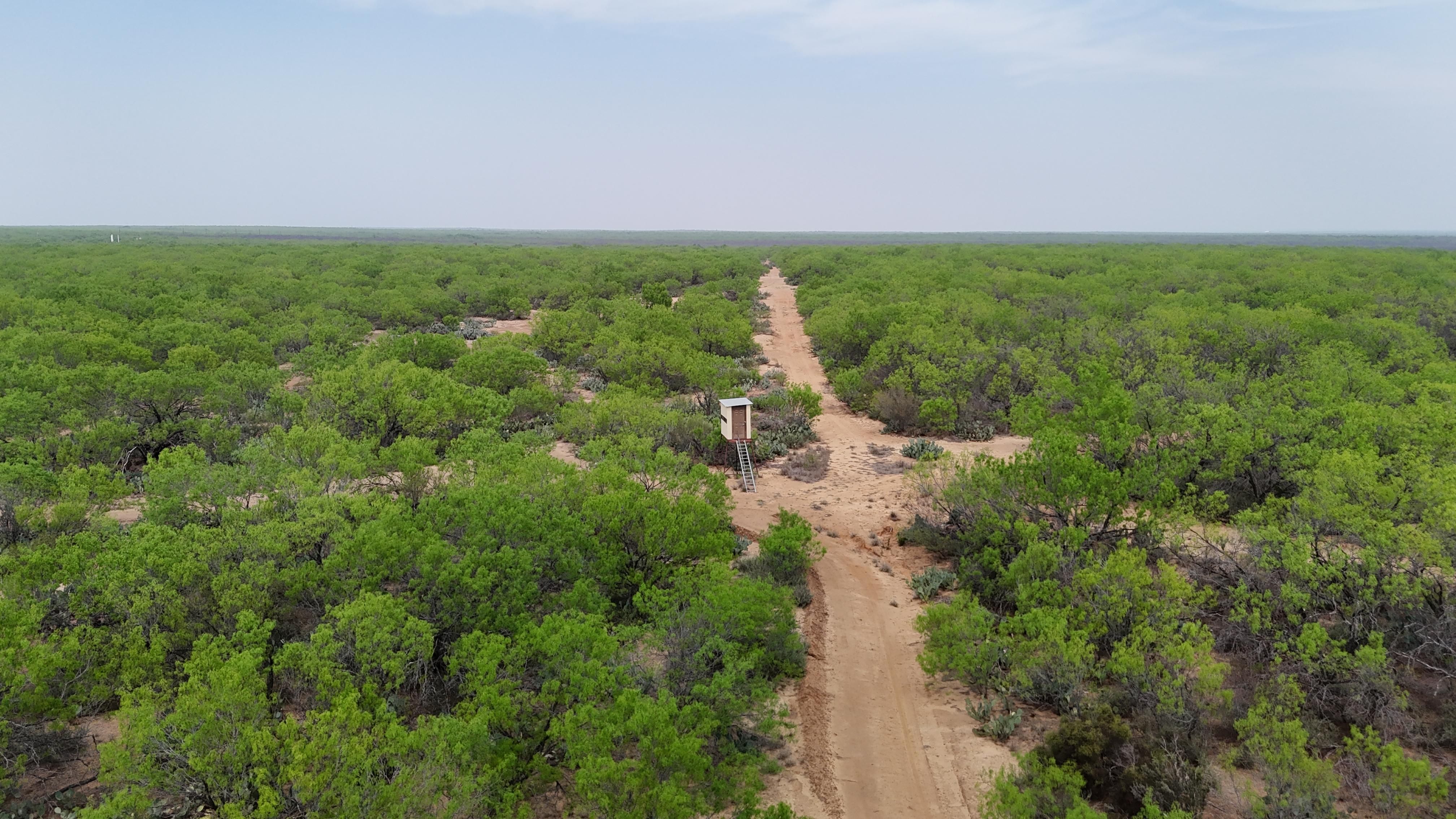 Texas 85, Big Wells, TX 78830 | Land.com