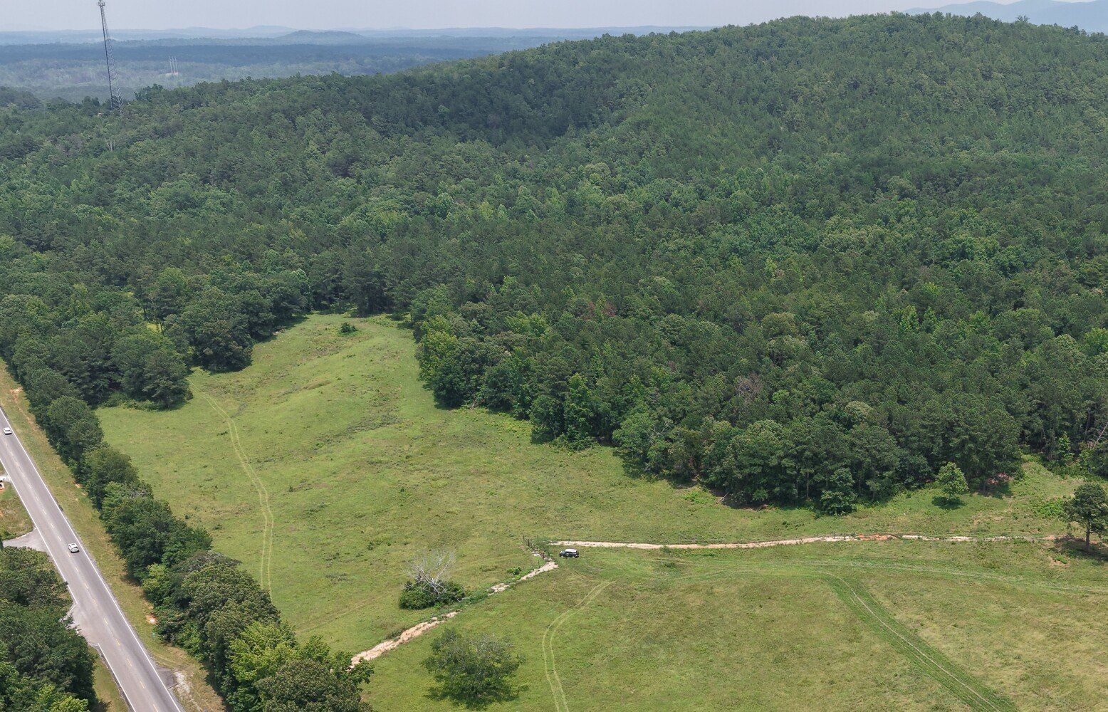 0 State HWY 21, Sycamore, AL 35149 | MLS: 11531321 | Land.com