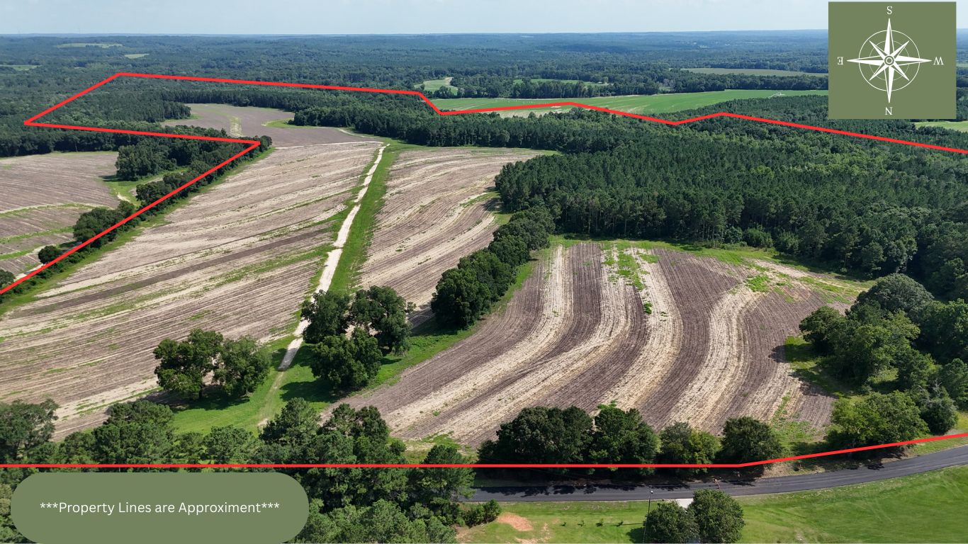 Tennille Road, Tennille, AL 36010 | Land.com