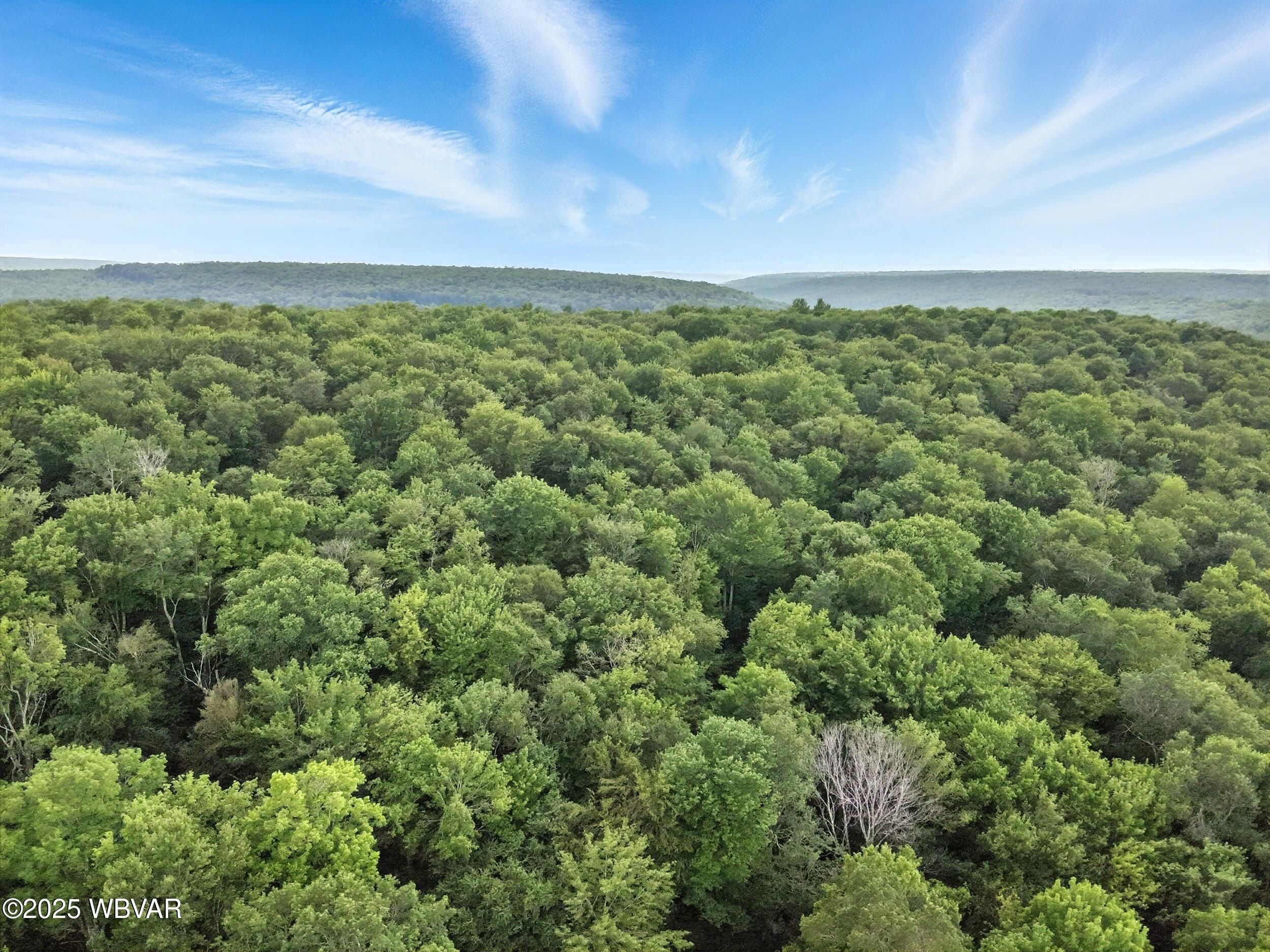 0196 ROUTE 487, Lopez, PA 18628 | MLS: WB-101958 | Land.com