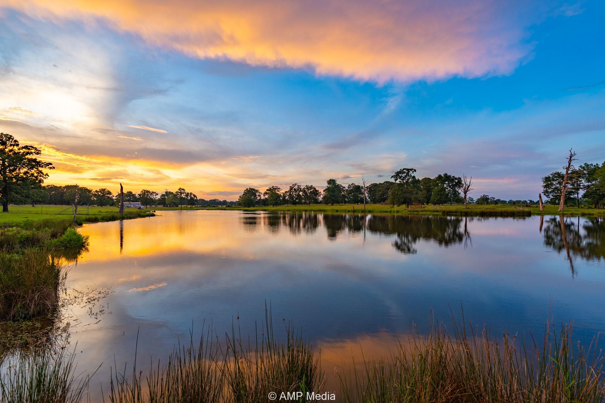 764.72 acres in New Boston, TX, 75570 | Land.com