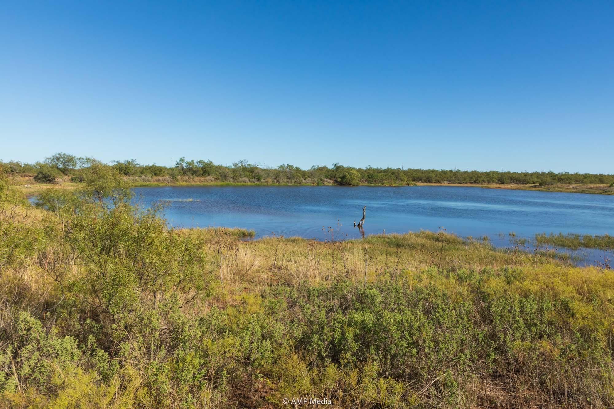 14980 U.S. 83, Hamlin, TX 79520 | Land.com