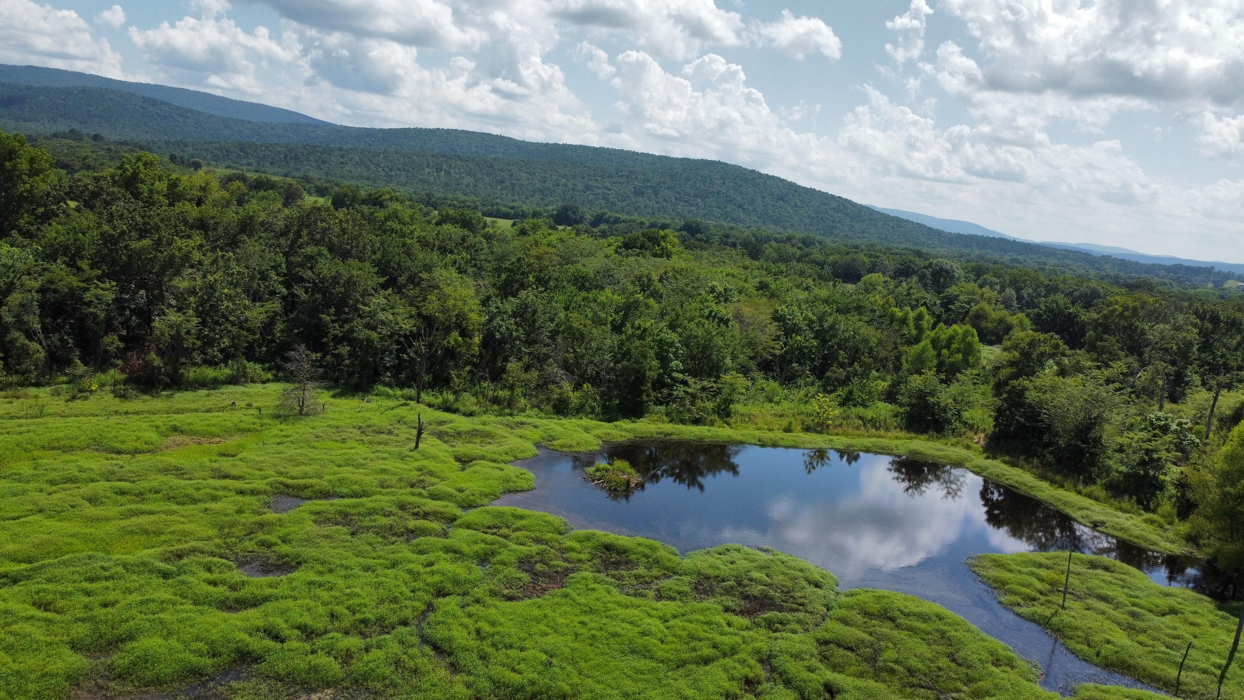 44465 Yellow Spring Prairie Road, Heavener, OK 74937 | MLS: 2530108 ...