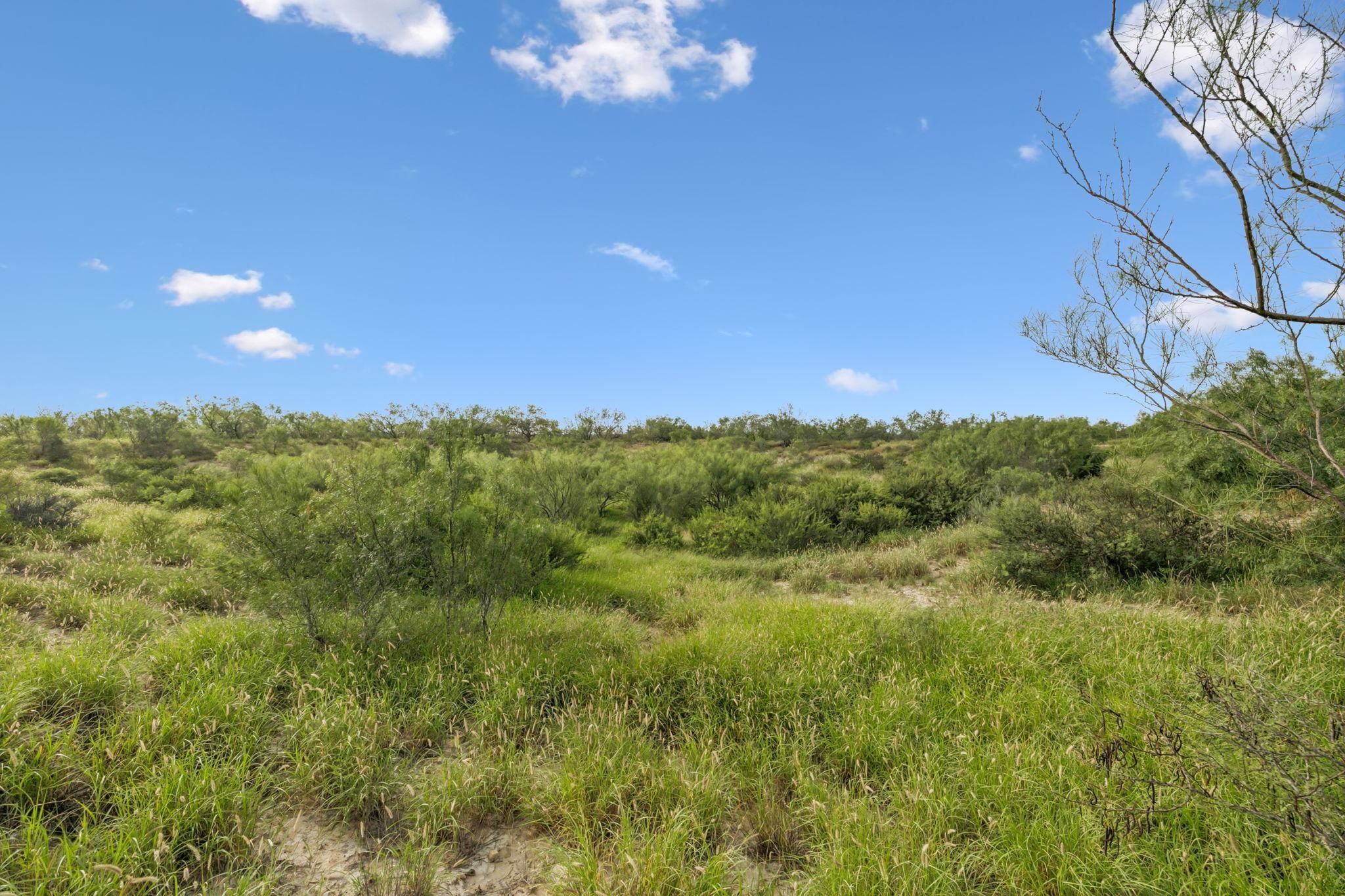 FM 395, Crystal City, TX 78839 | Land.com