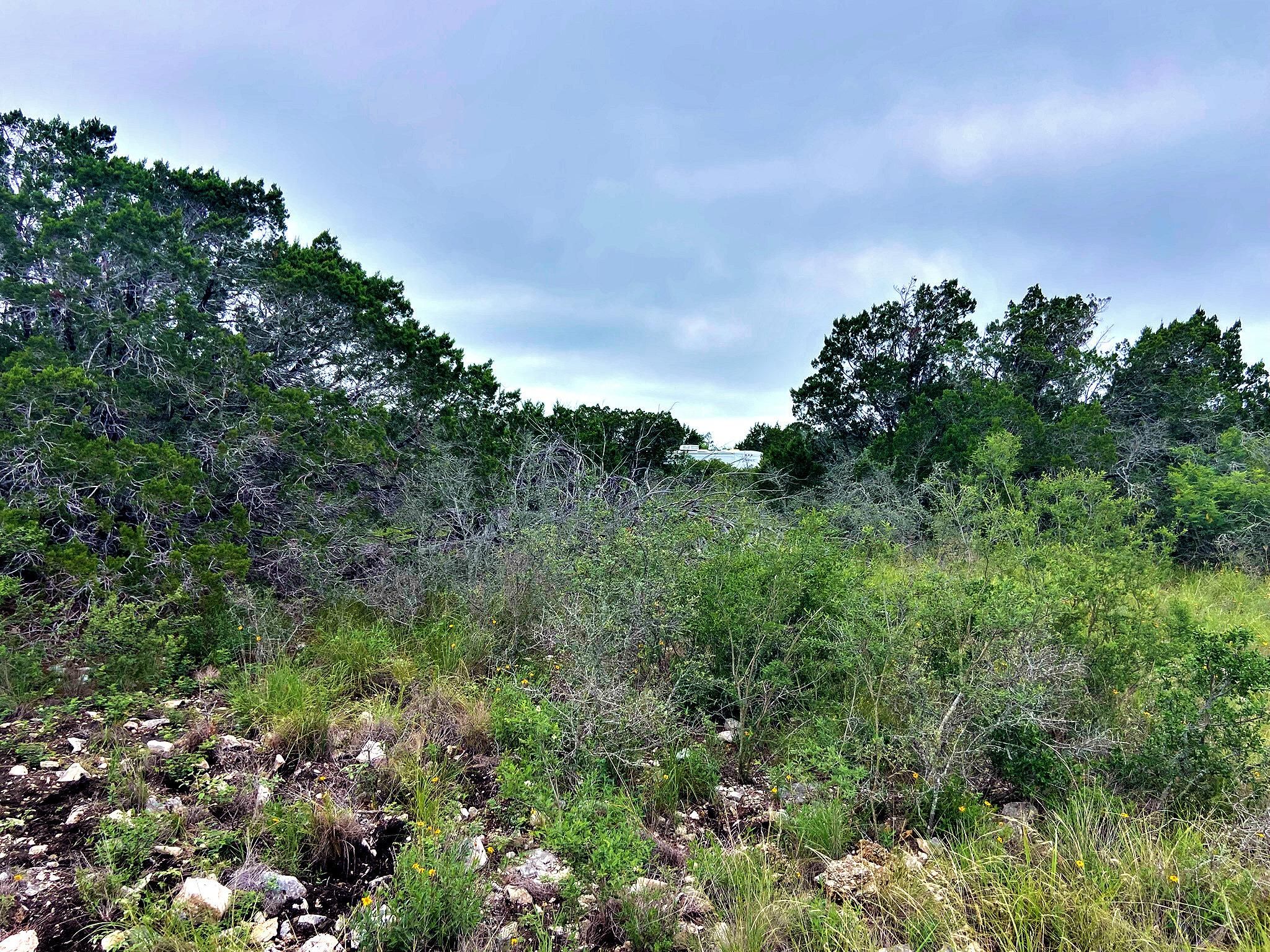 Leona Ranch Road, Brackettville, TX 78832 | Land.com