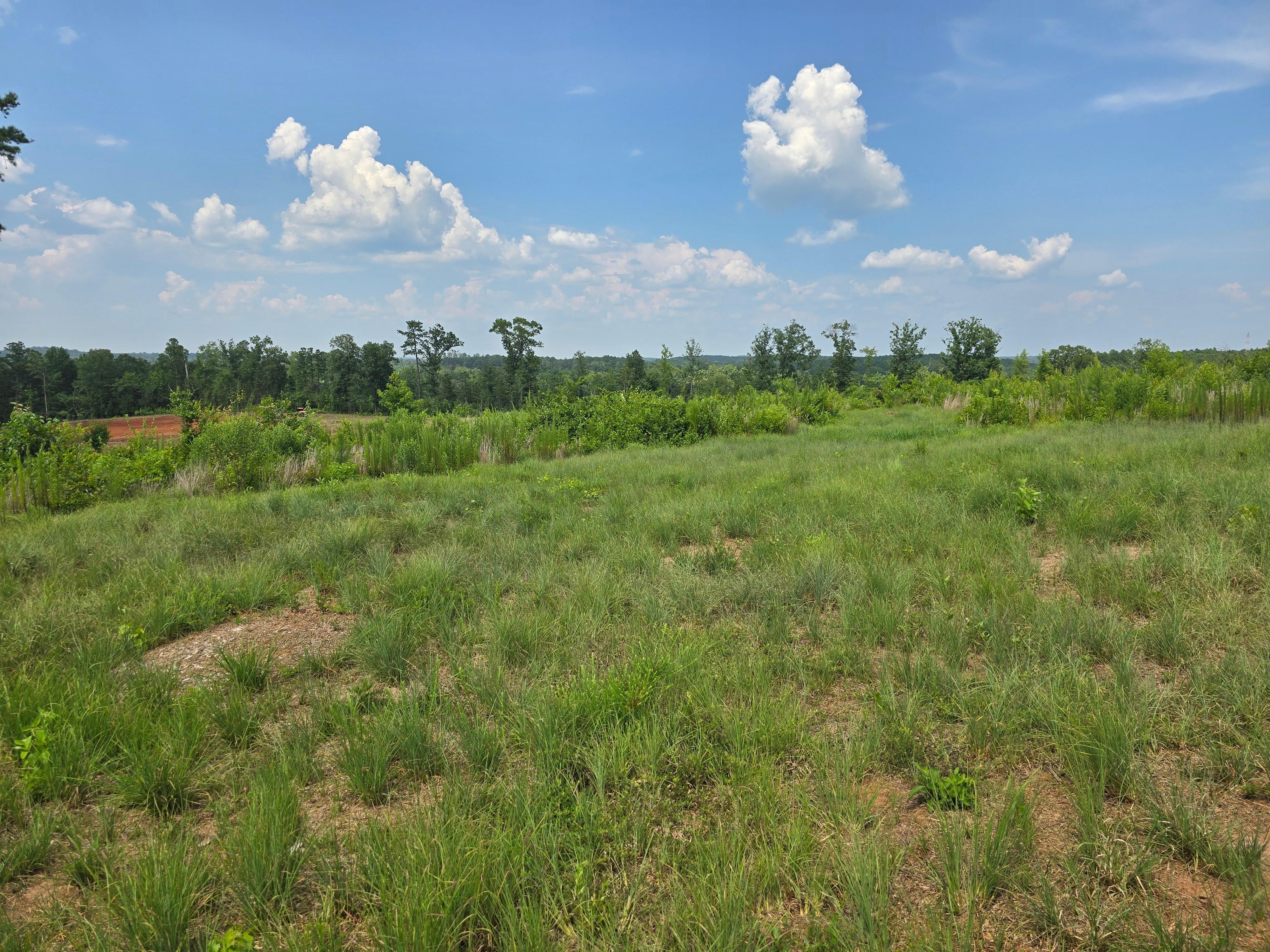 Faulkner Rd, Monticello, GA 31064 | Land.com