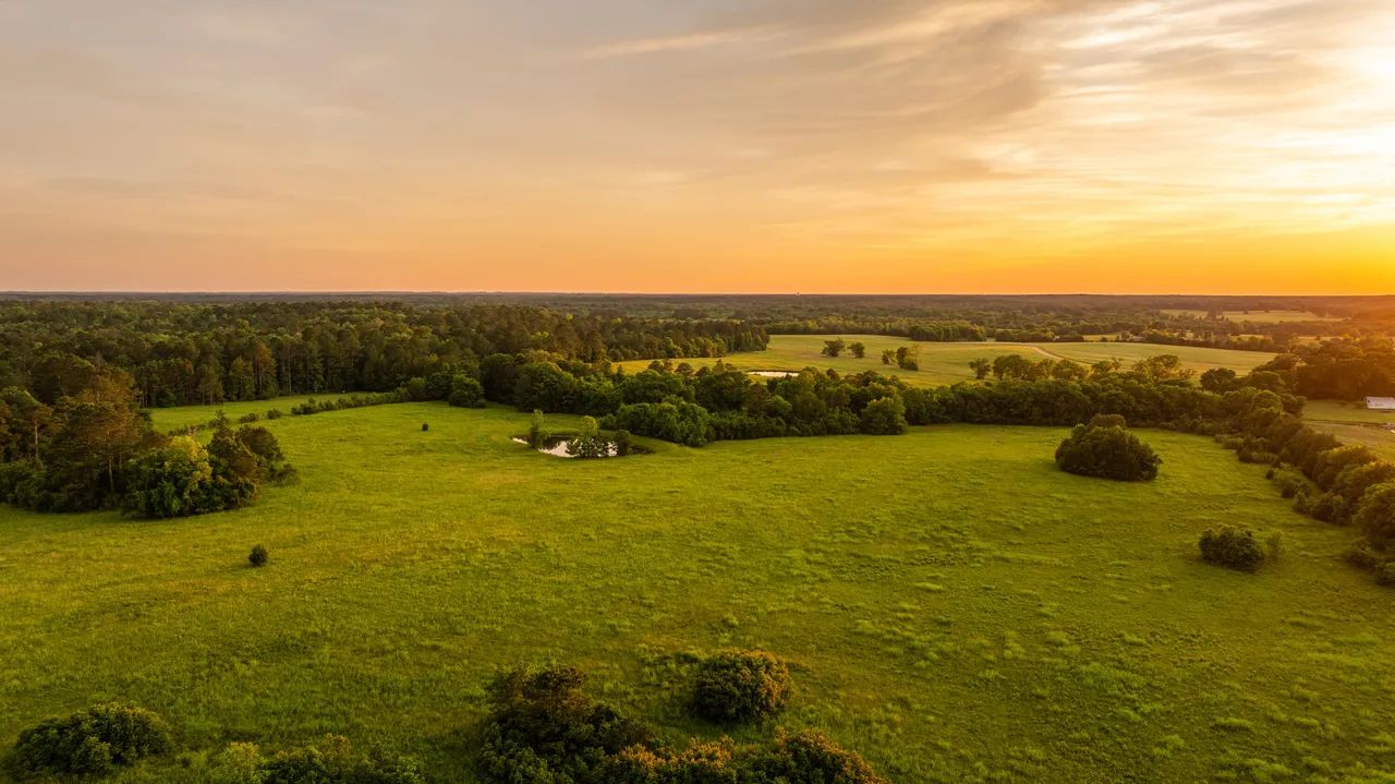 County Road 37, Fitzpatrick, AL 36029 | Land.com