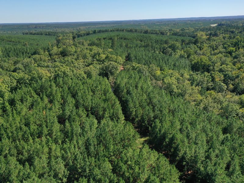 Charlie Reeves Road, Roberta, GA 31078 | Land.com