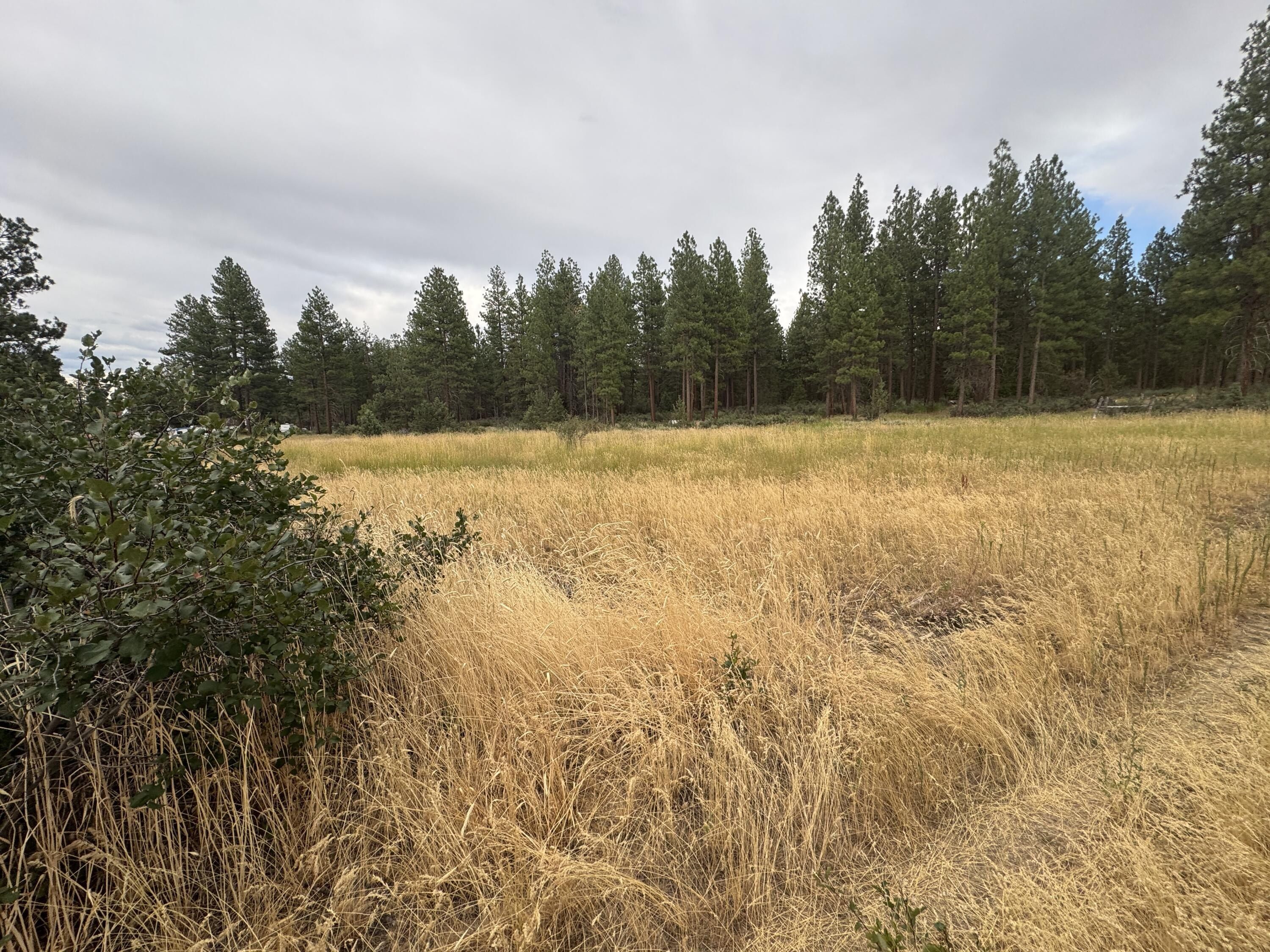 24703 5th Street, Sprague River, OR 97639 | MLS: 220206678 | Land.com