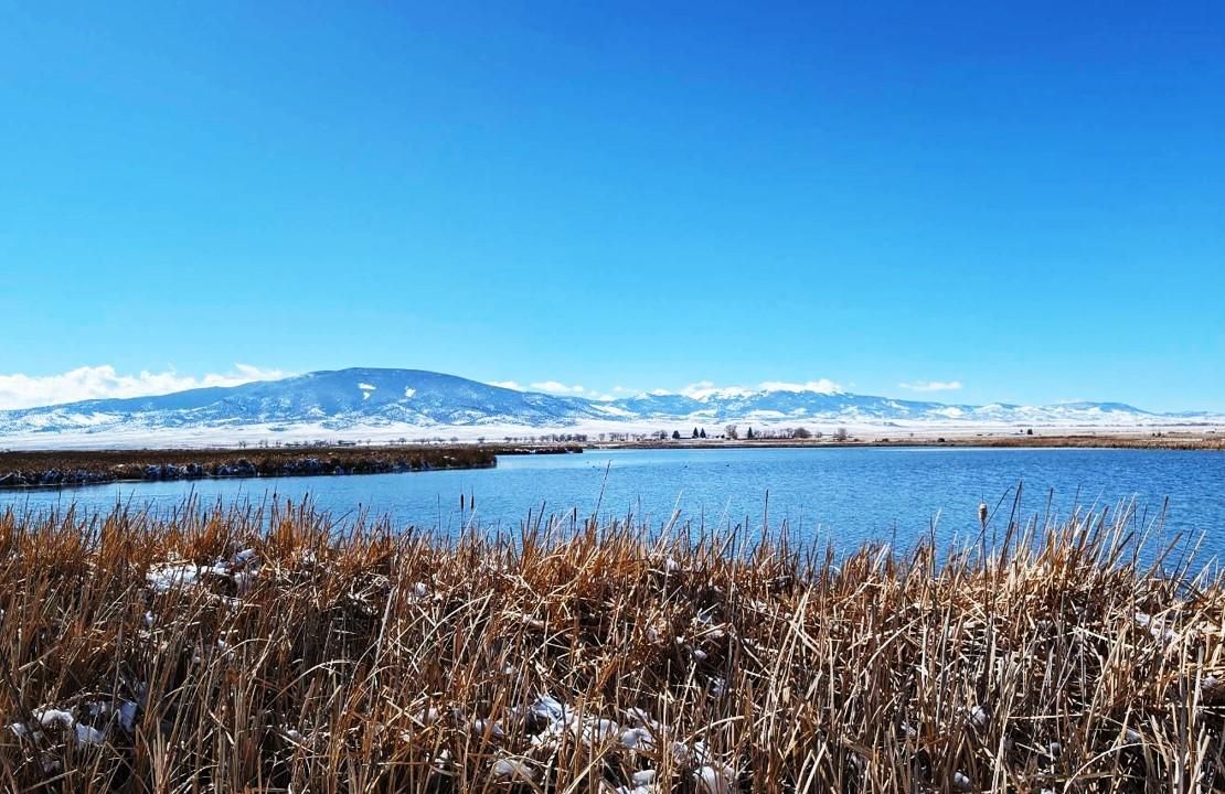 Cora Rd, Sanford, CO 81151 | Land.com