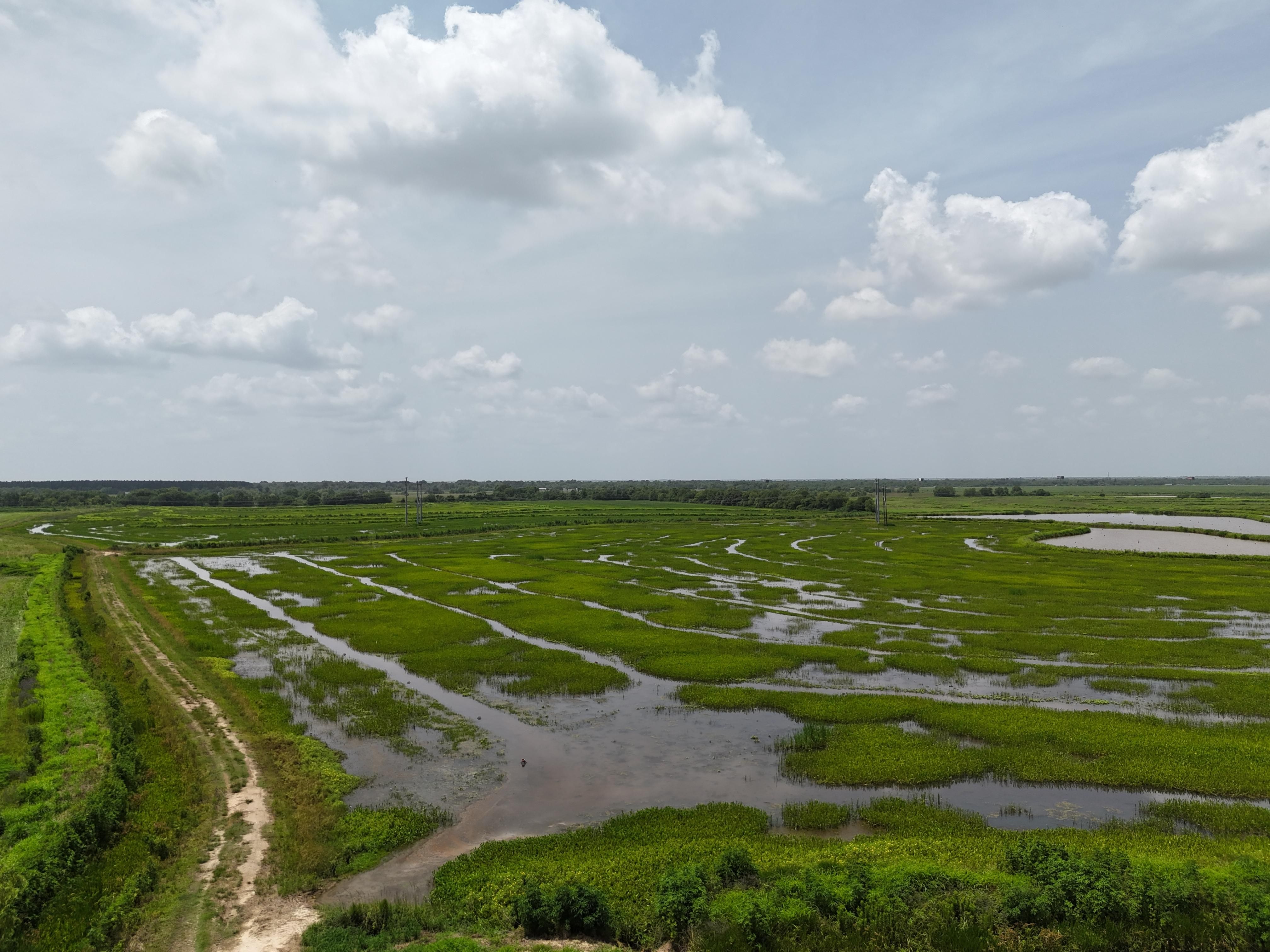 I-10, Welsh, LA 70591 | Land.com