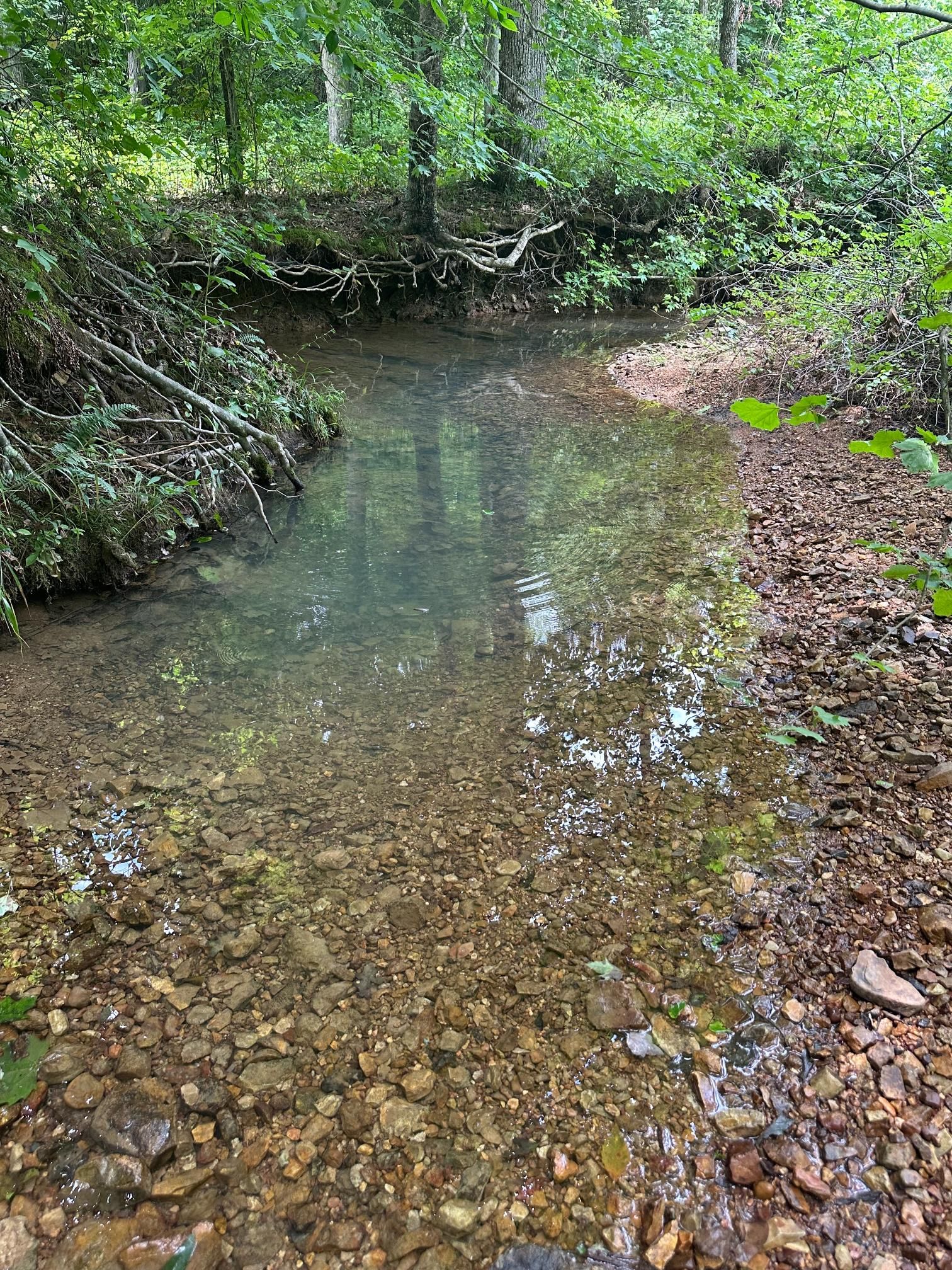 01 Old Hwy 18, Tennessee Ridge, TN 37058 | Land.com