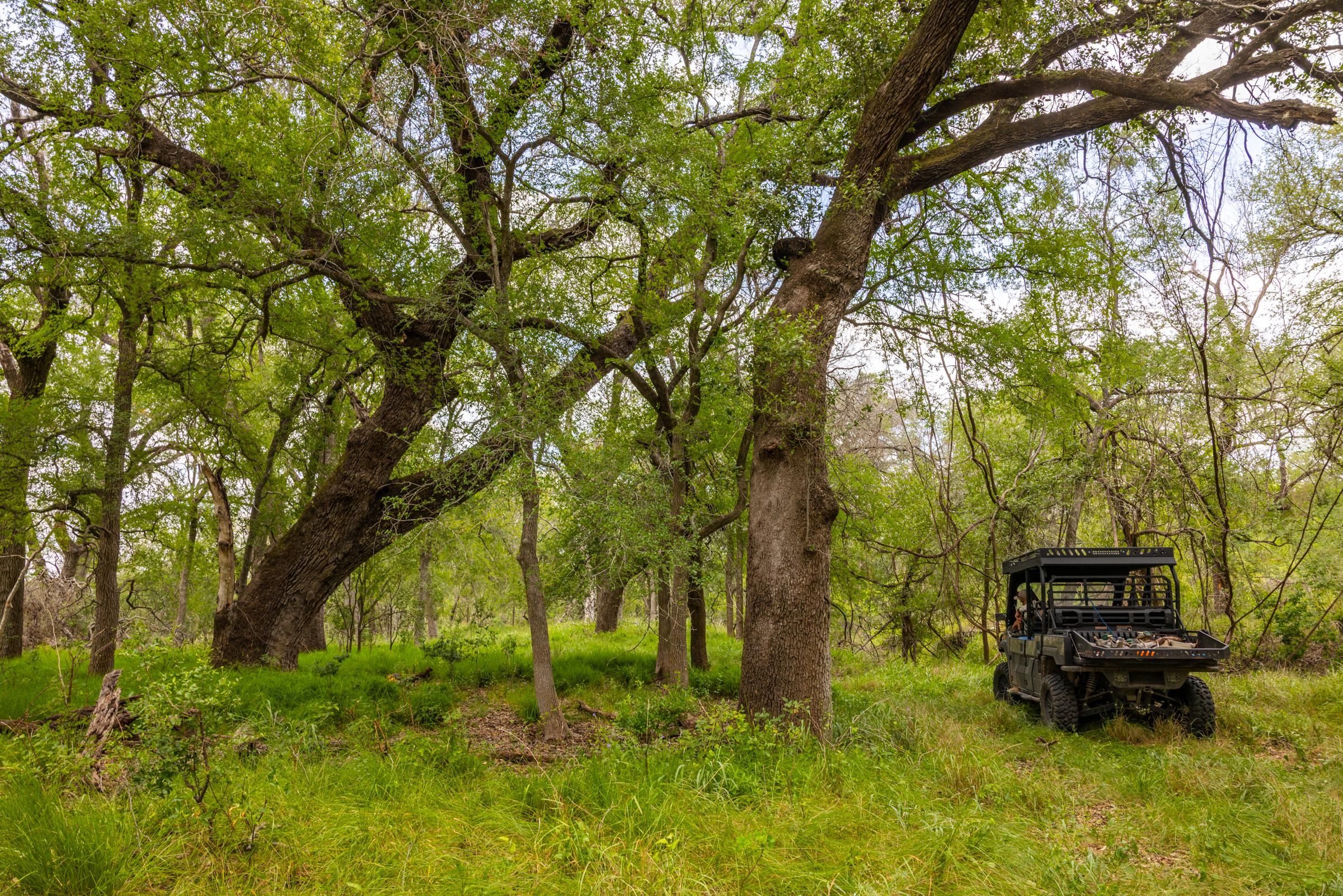County Road 4425, Dilley, TX 78017 | Land.com