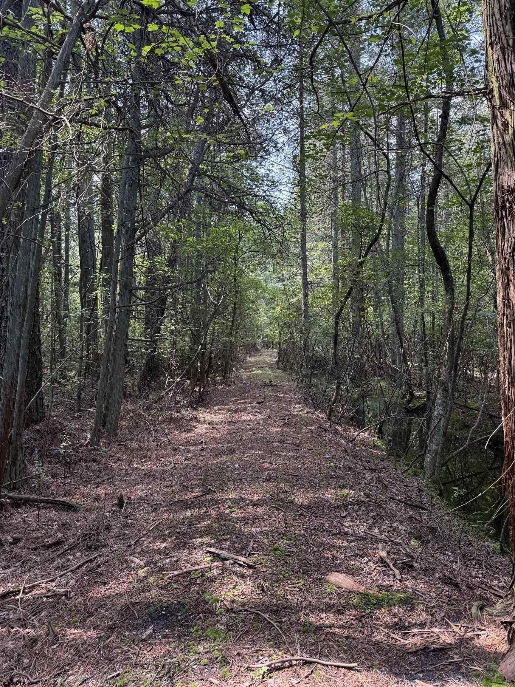 2600 Elwood Road, Ancora, NJ 08037 | MLS: 598924 | Land.com