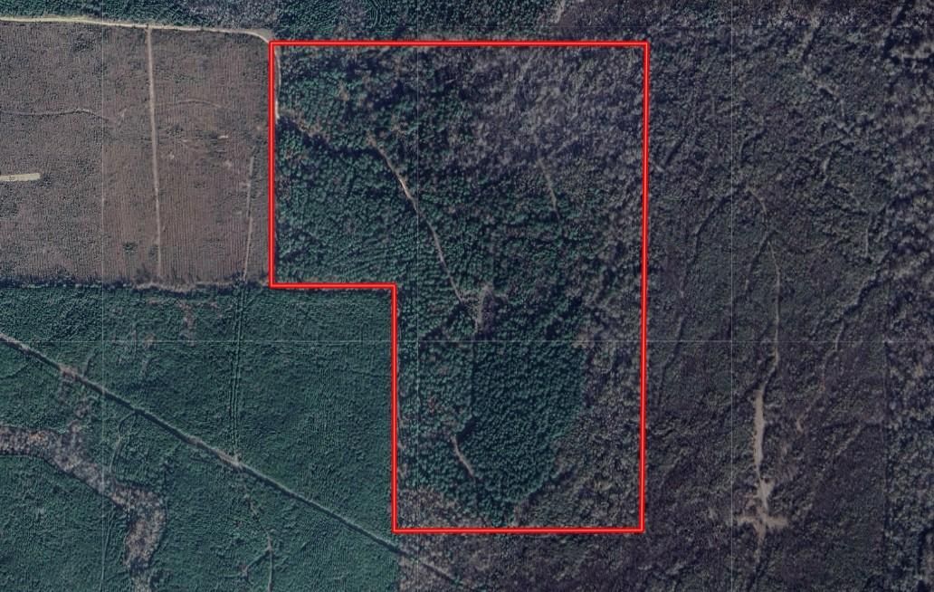 100 acres in Grayson, LA, 71435 | Land.com