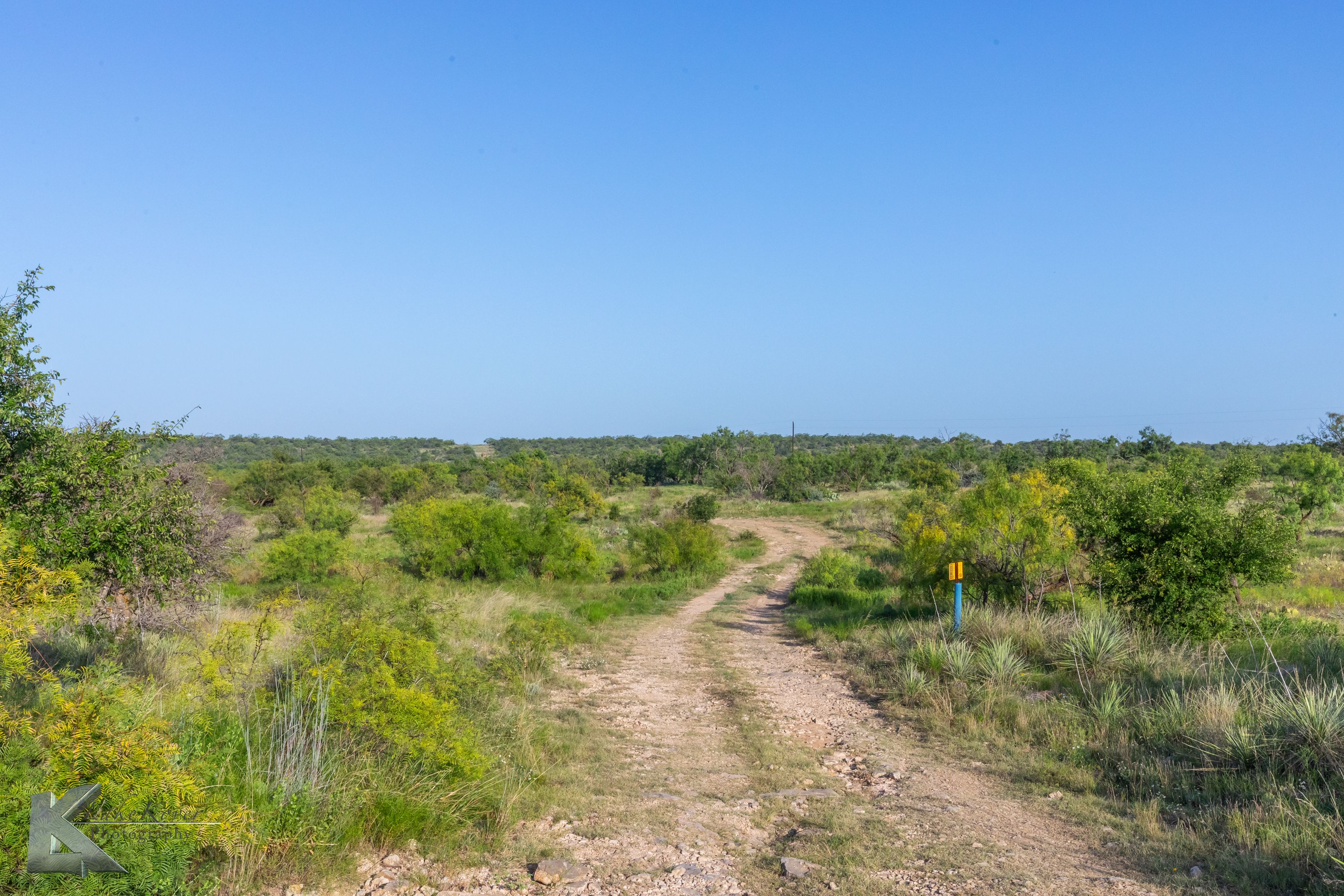 3338 County Road 374, Talpa, TX 76882 | Land.com