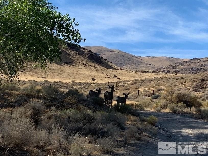 STATE ROUTE 447, Reno, NV 89510 | MLS: 250003453 | Land.com