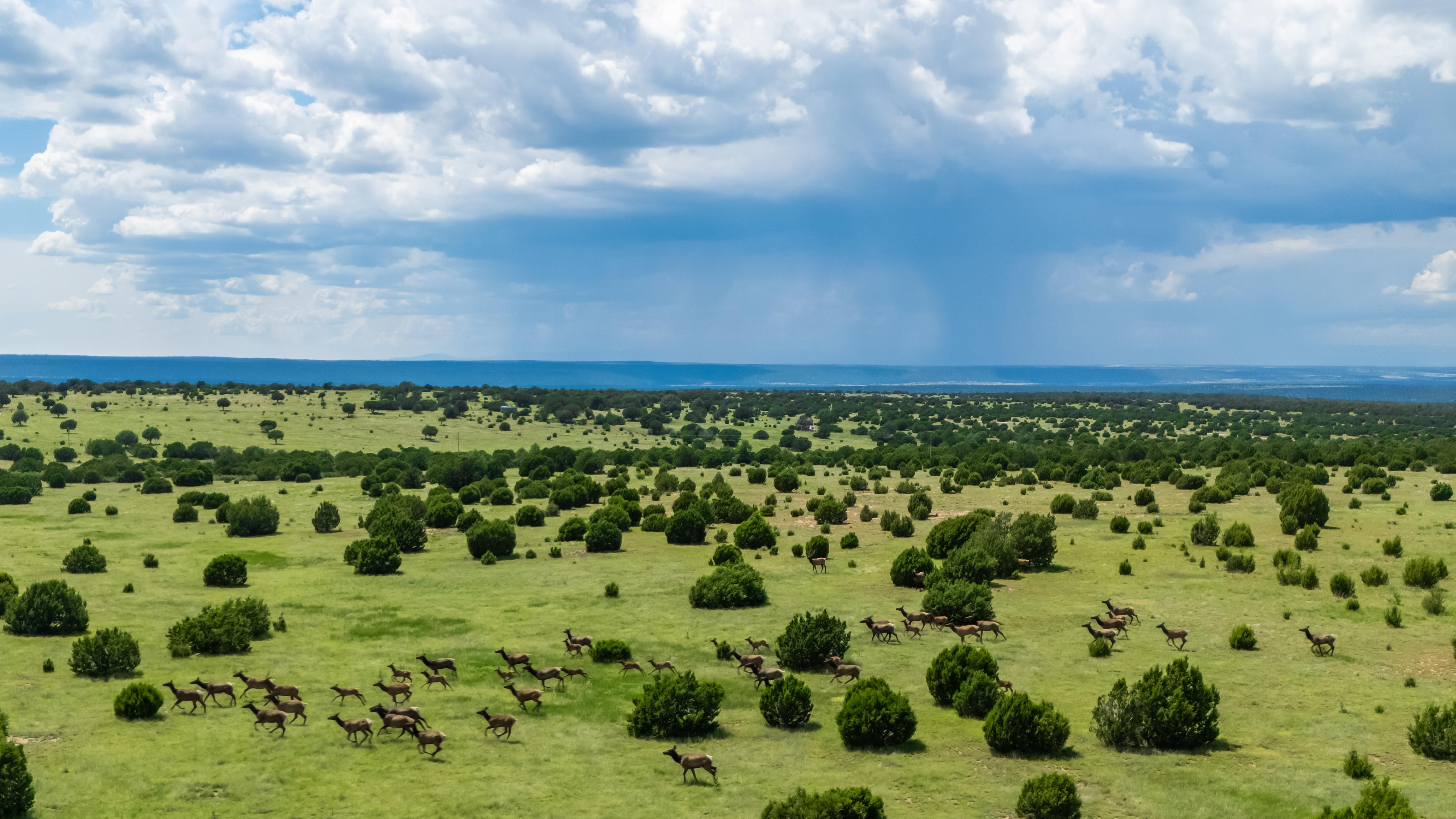 2,160 acres in Trujillo, NM, 87701 | Land.com