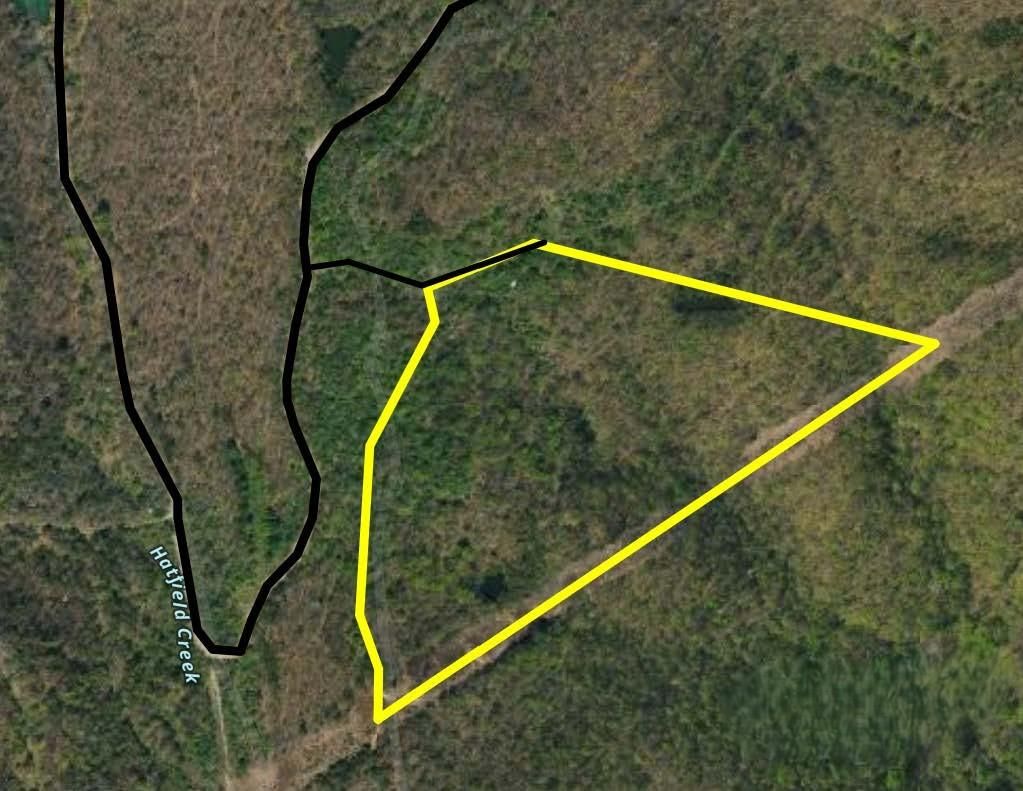 Hatfield Creek Rd, Newcomb, TN 37819 | Land.com