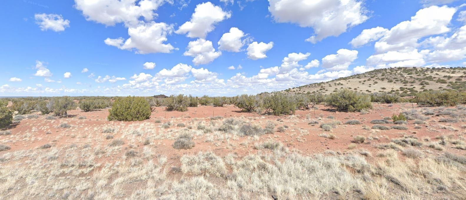 County Road, Concho, AZ 85924 | Land.com